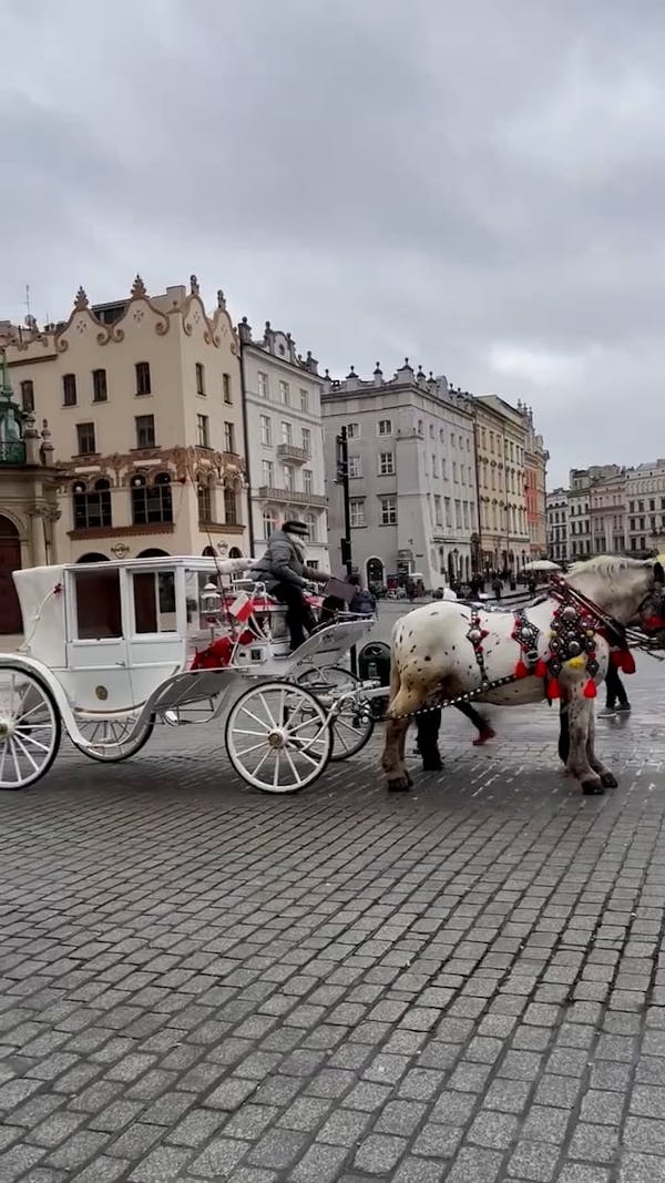 Horse Carriage Videos, Download The BEST Free 4k Stock Video Footage ...