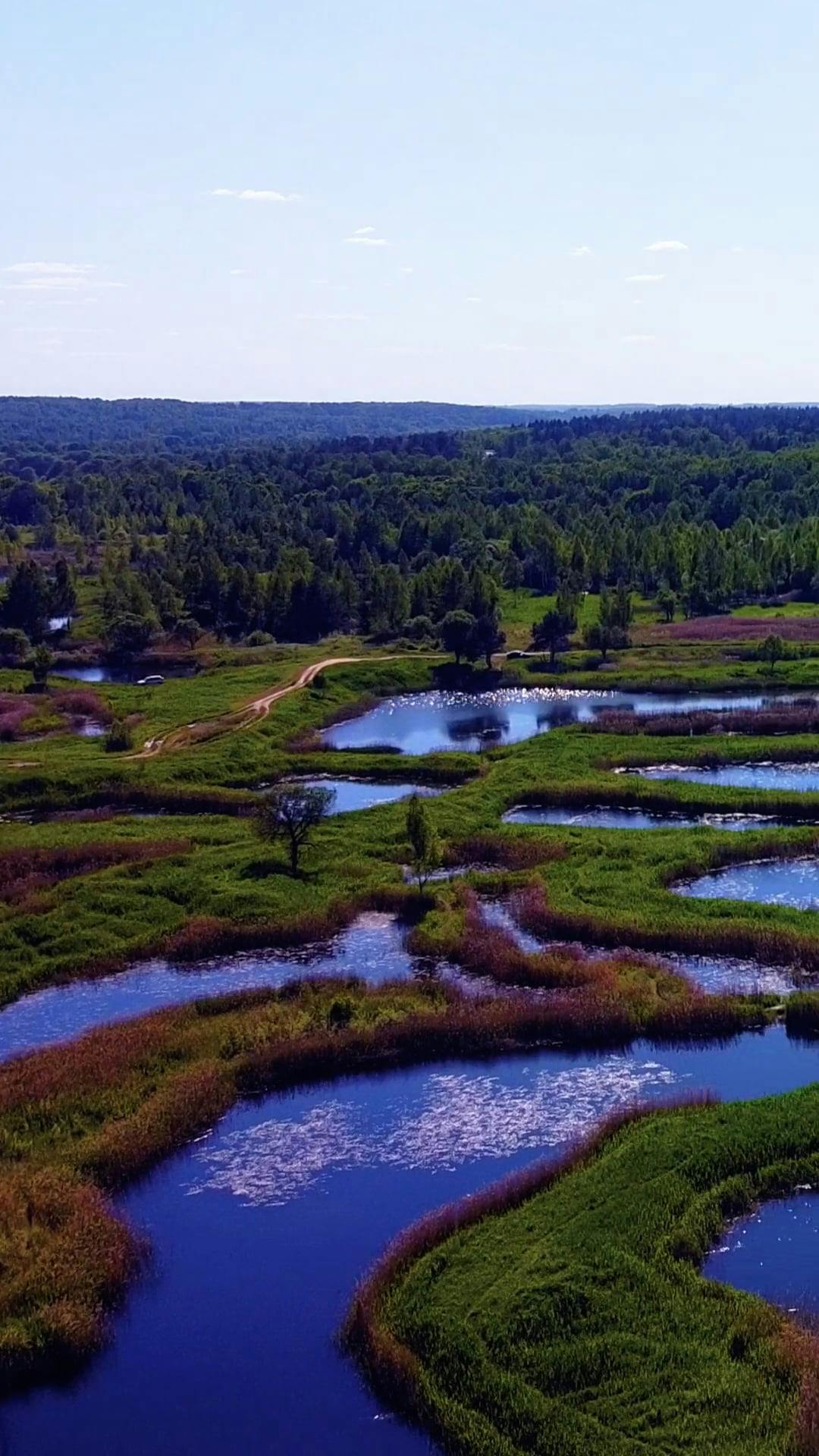 Forest and Ponds Free Stock Video Footage, Royalty-Free 4K & HD Video Clip