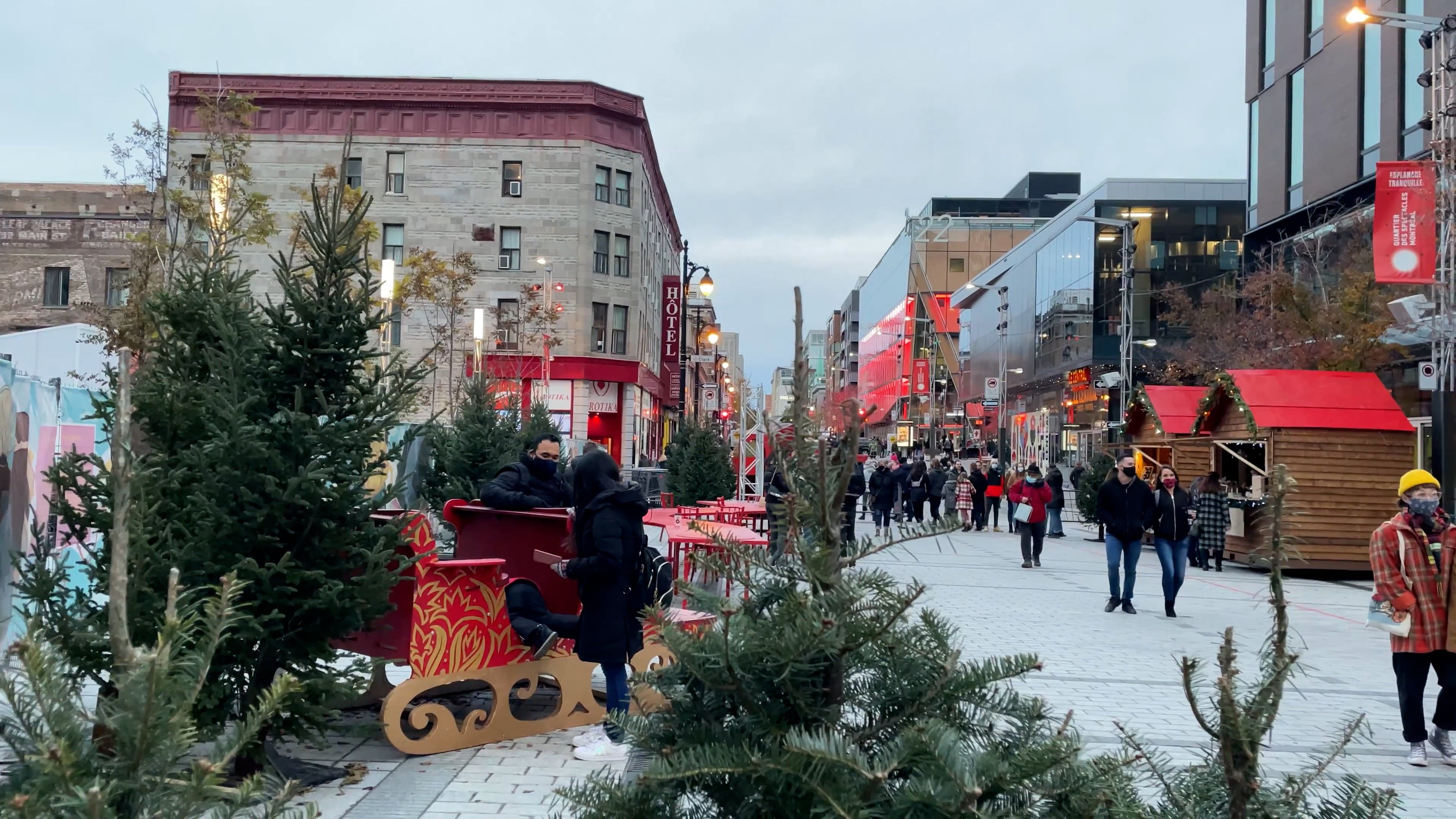 Christmas Trees in City in Winter Free Stock Video Footage, Royalty ...
