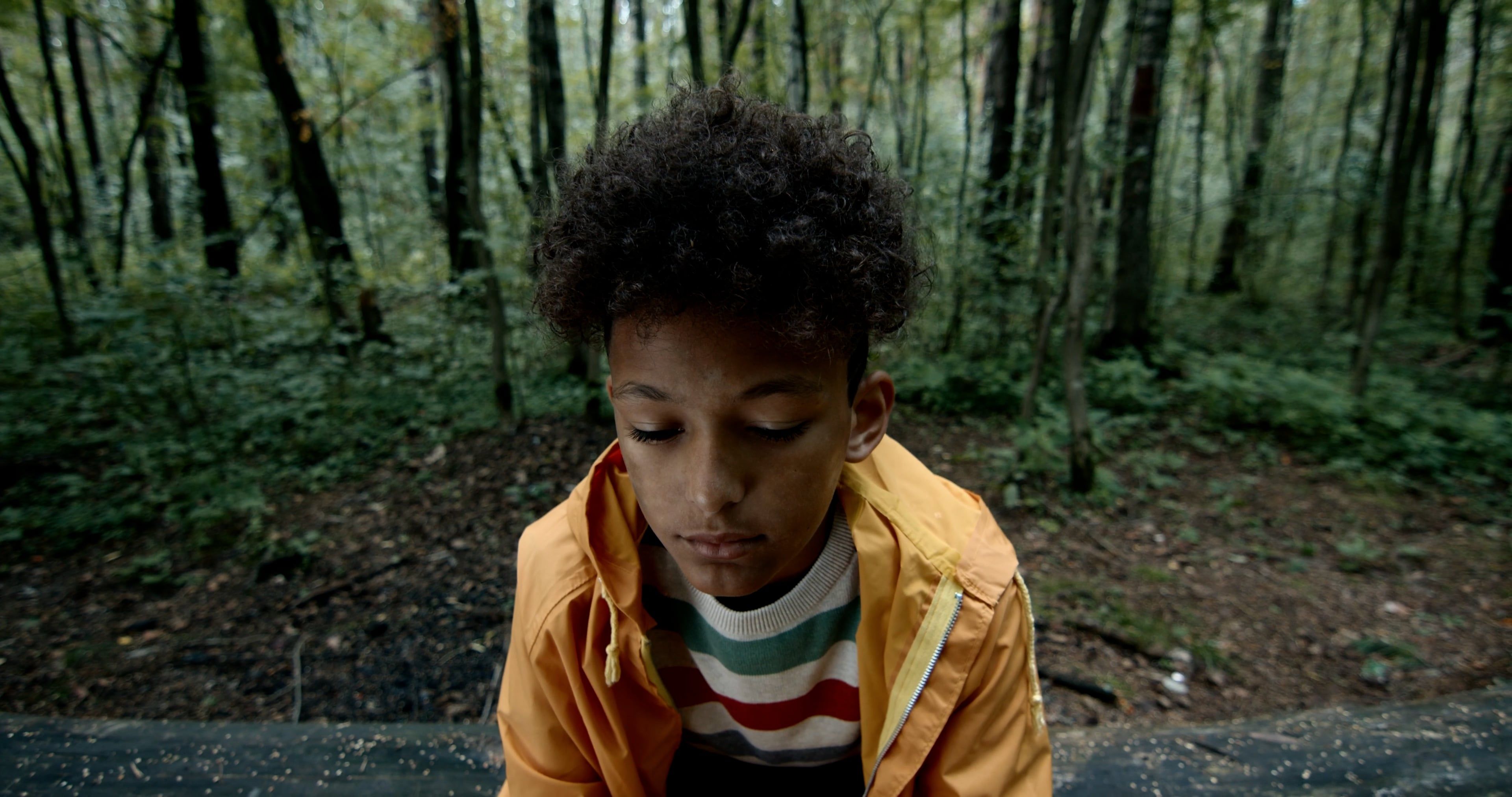A Scared Boy Lost in the Woods Free Stock Video Footage, Royalty-Free ...