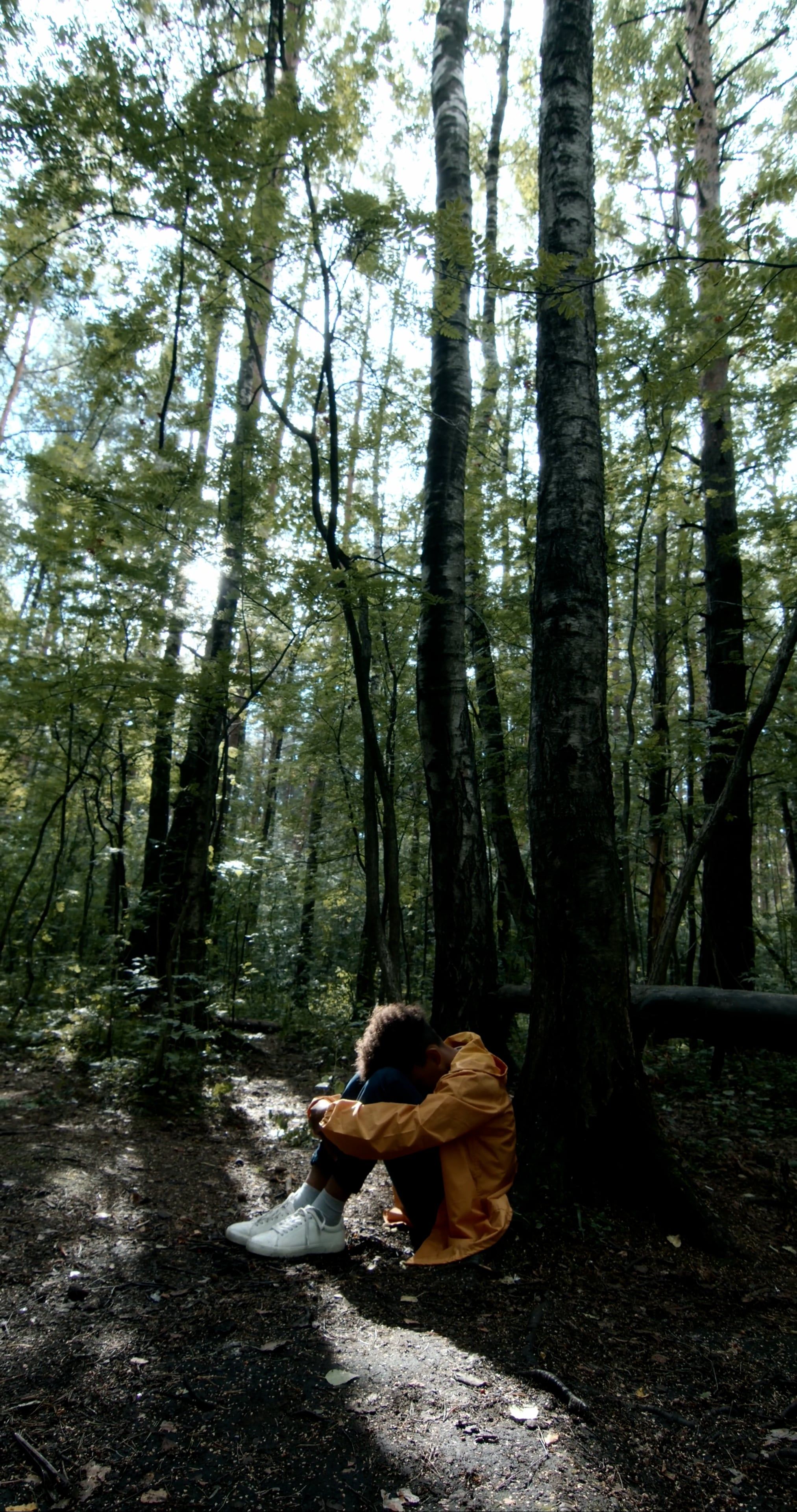 Vídeos de stock gratuitos sobre aislado, al aire libre, arboles ...