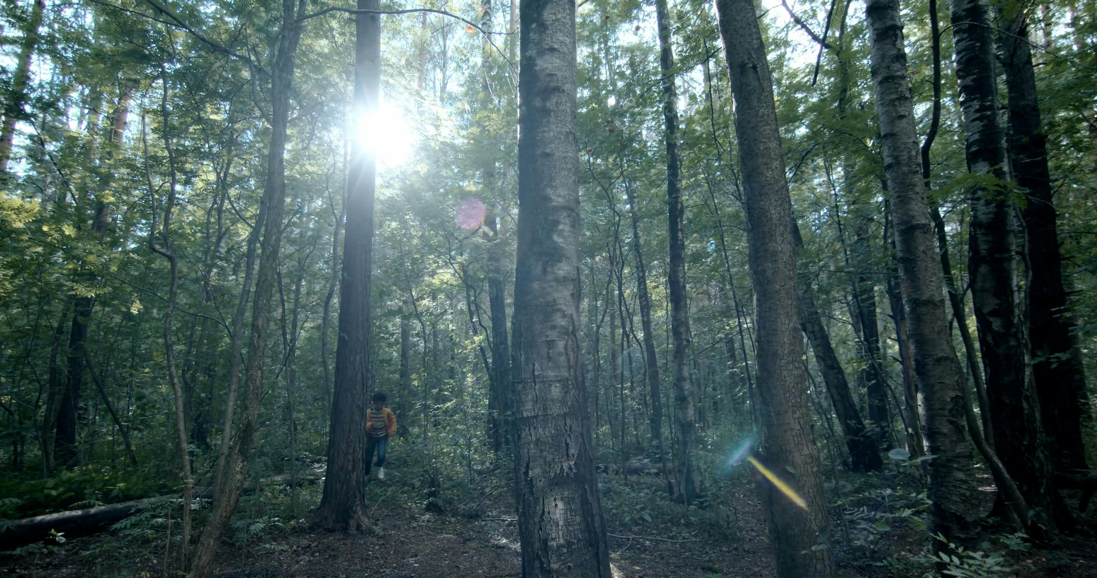 Kid Running No Background Videos, Download The BEST Free 4k Stock Video ...