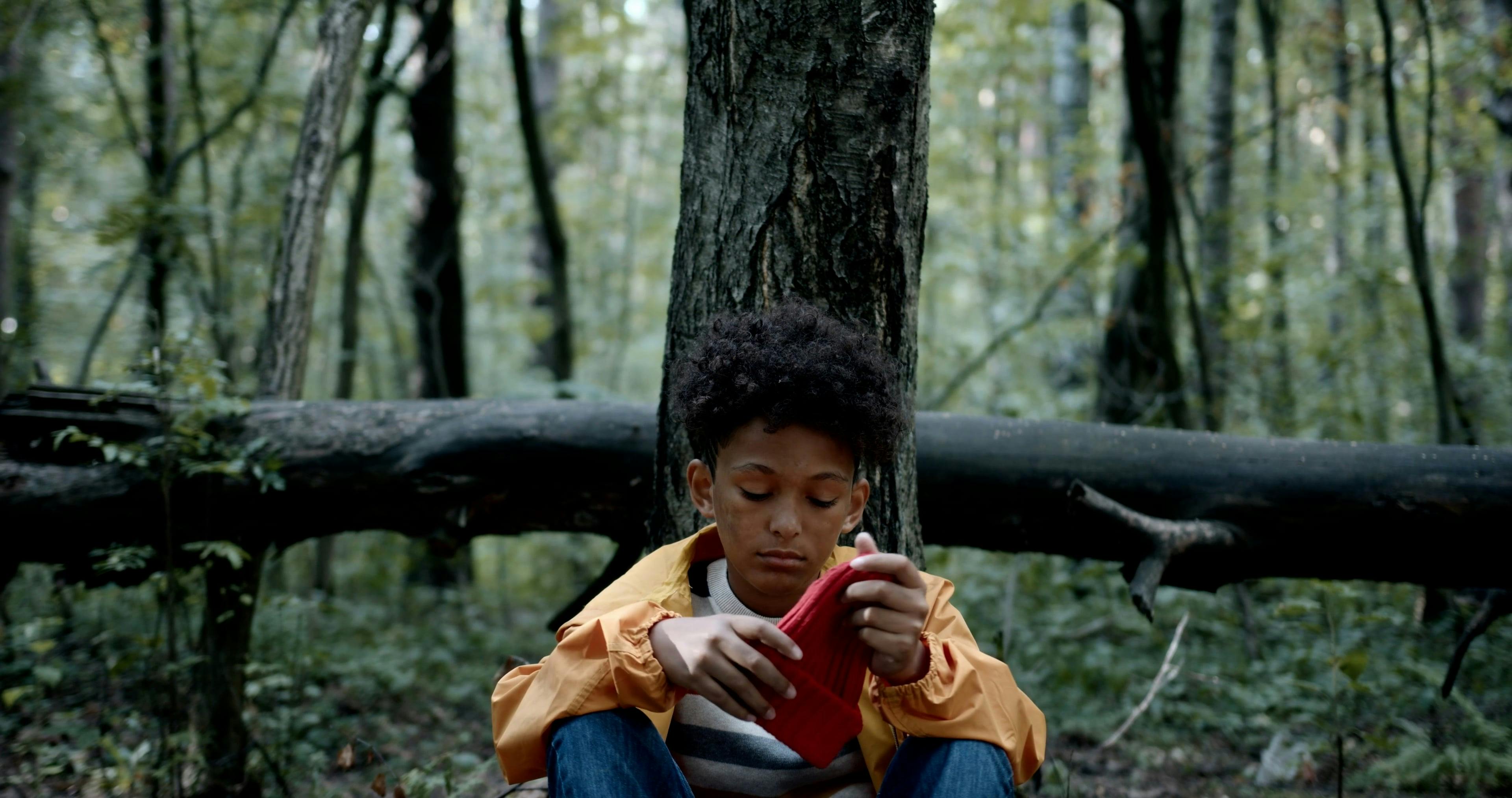 A Lost Boy in the Woods Calling for Help Free Stock Video Footage ...