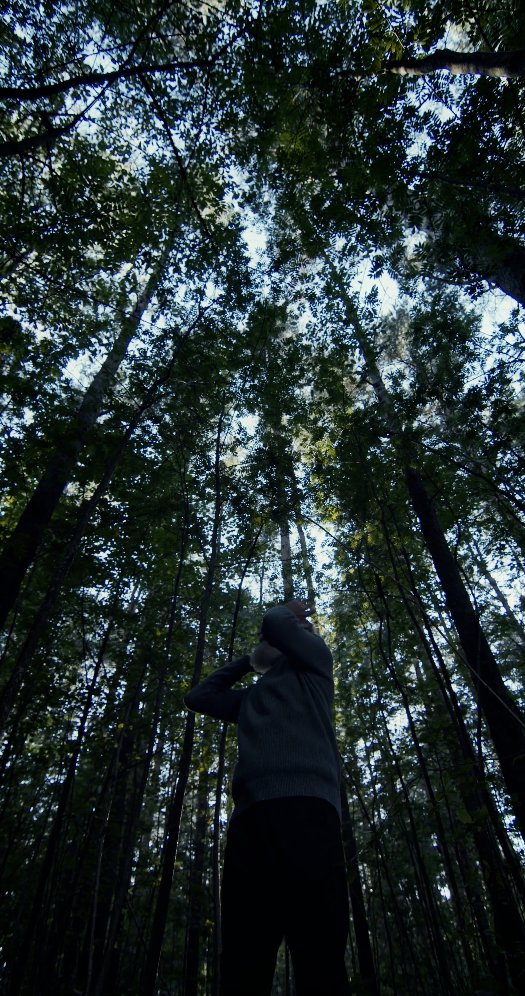 An Elderly Man Shouting Help in the Forest · Free Stock Video