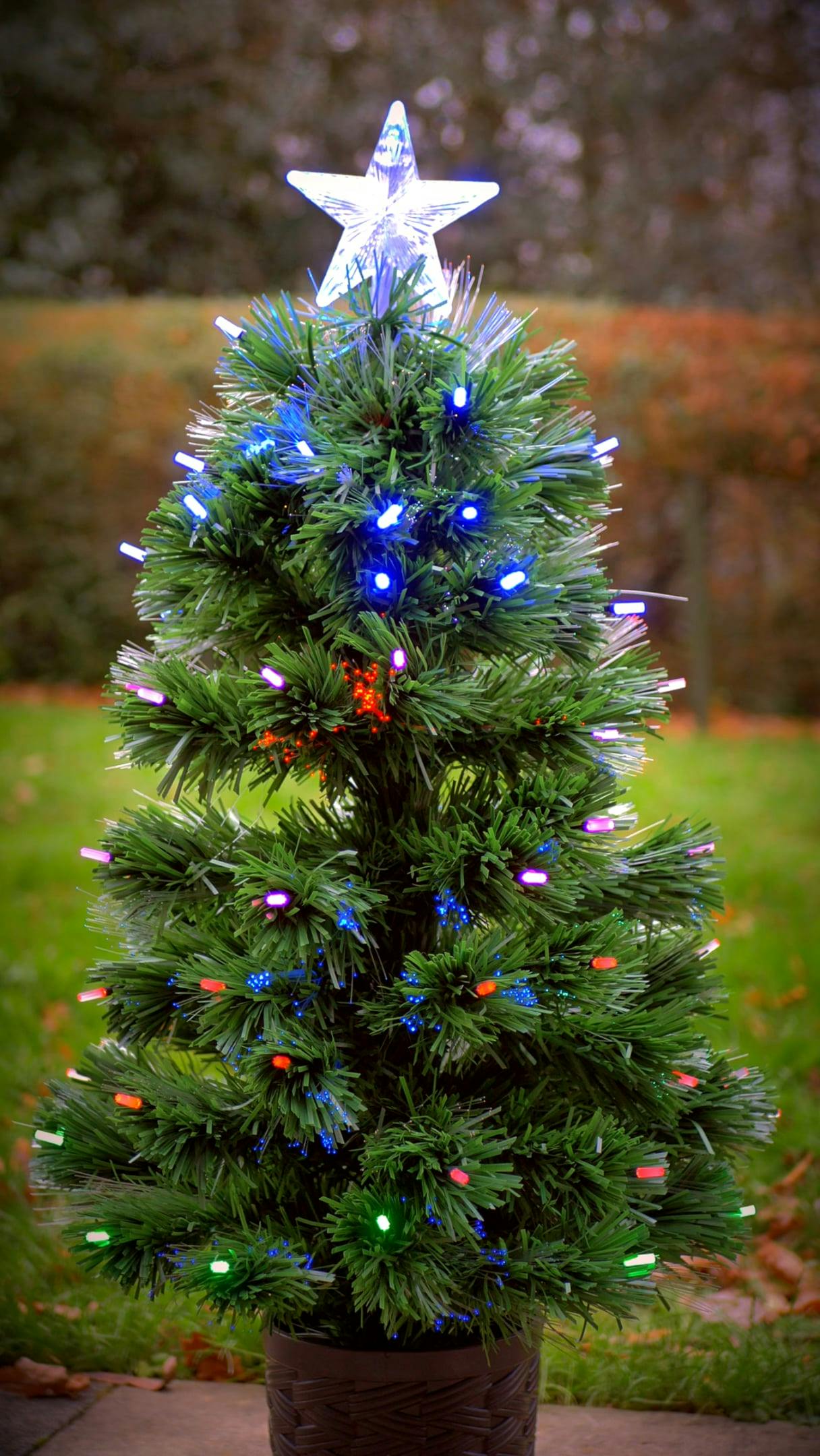 Close-Up View Of Blinking Christmas Lights Free Stock Video Footage ...