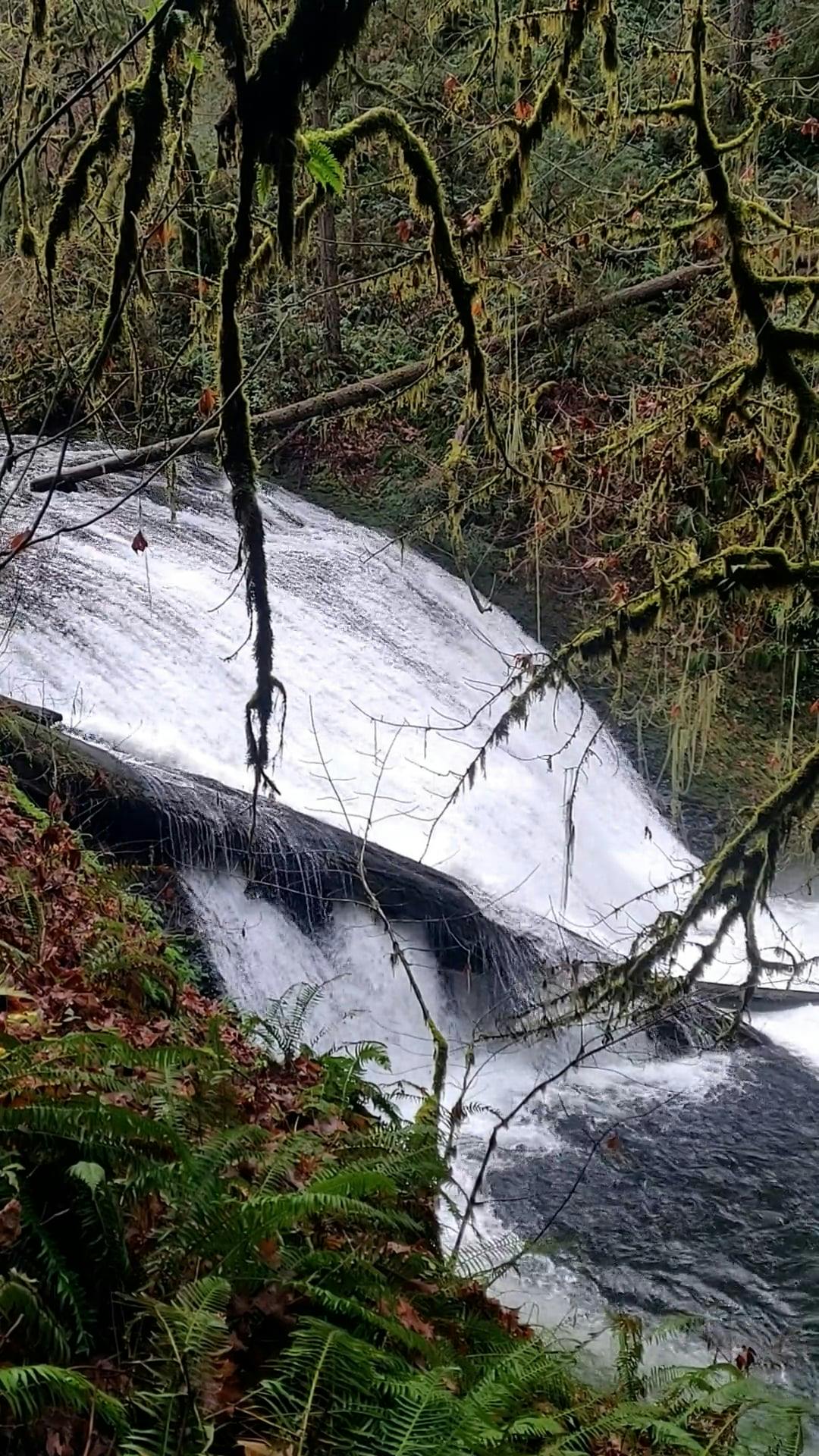Cascade Seen through Branches Free Stock Video Footage, Royalty-Free 4K ...