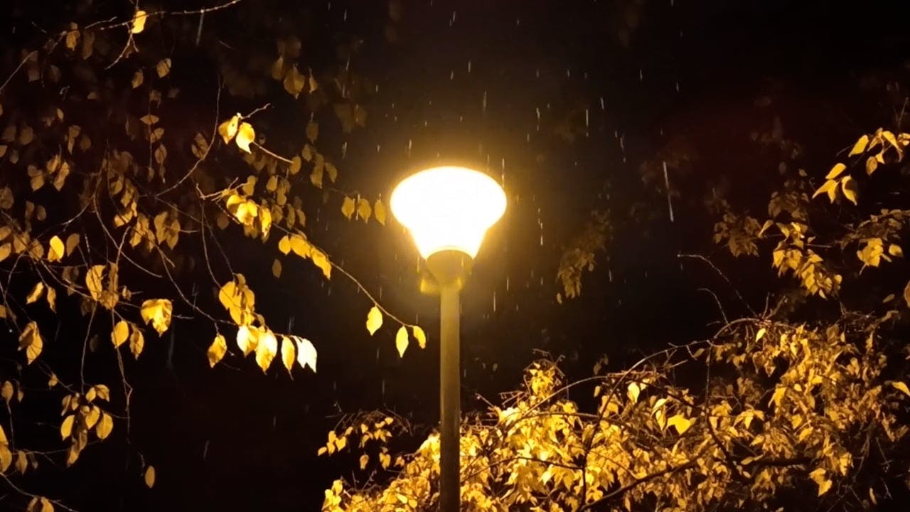 Night Branch Videos, Download The BEST Free 4k Stock Video Footage ...