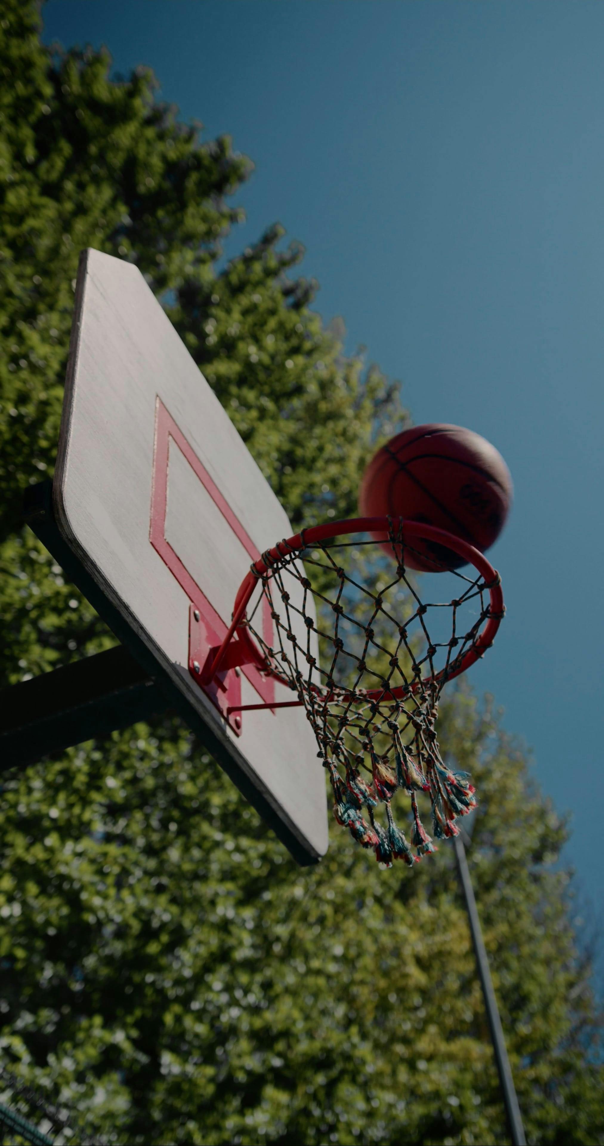 Natural Score Videos, Download The BEST Free 4k Stock Video Footage ...