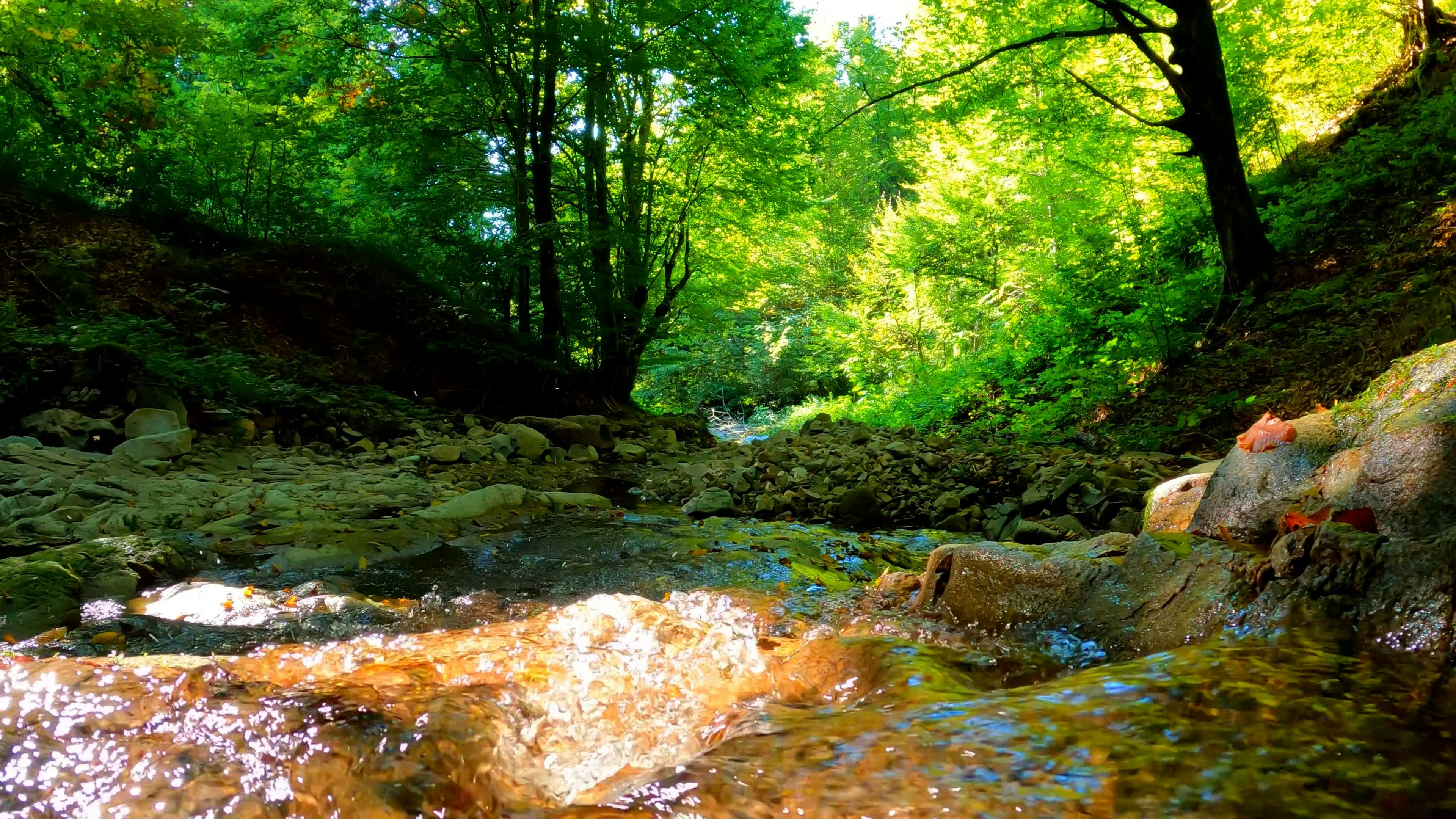 Flowing Water in Stream Free Stock Video Footage, Royalty-Free 4K & HD ...