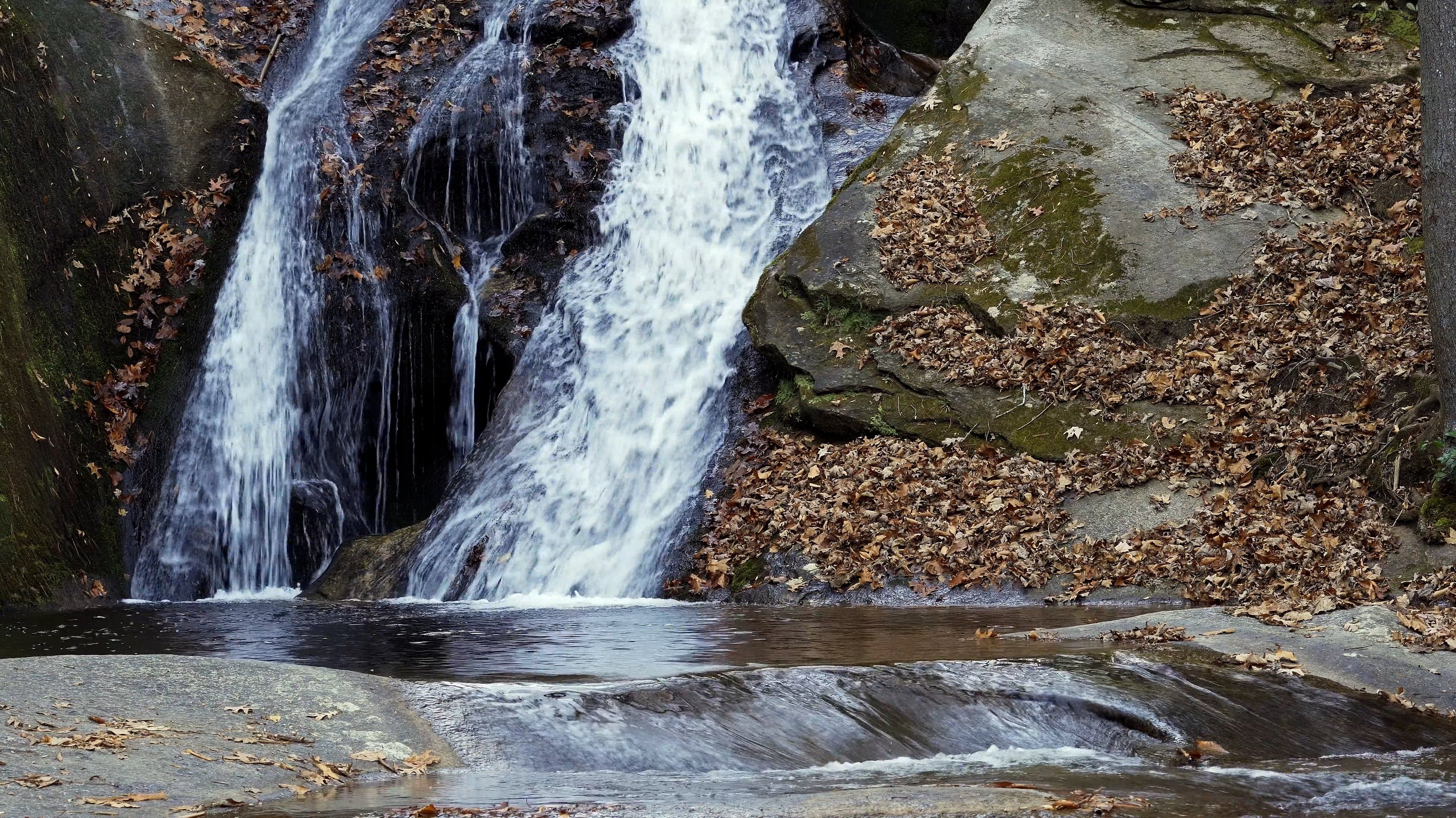 Fallen Leaves around Waterfall Free Stock Video Footage, Royalty-Free ...