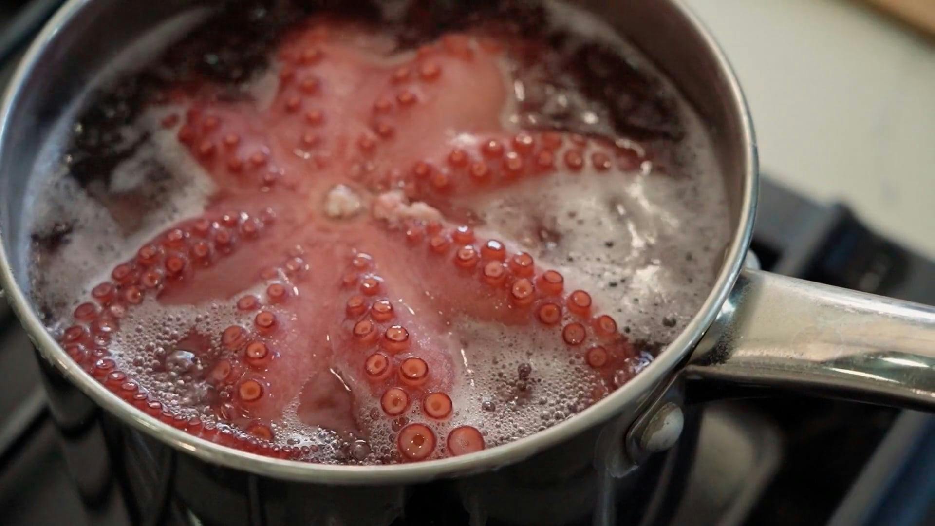 Close-up of an Octopus in Boiling Water Free Stock Video Footage ...