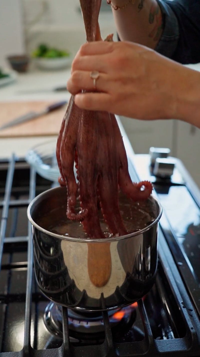 Octopus Videos, Download The BEST Free 4k Stock Video Footage & Octopus ...