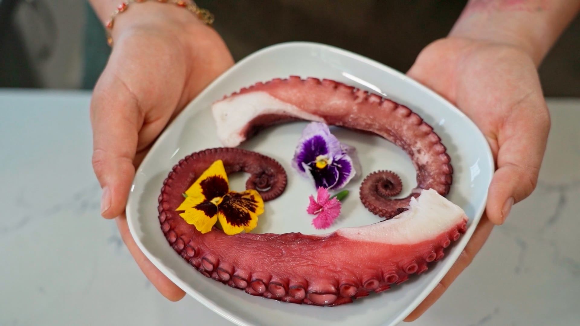 Octopus Plating Videos, Download The BEST Free 4k Stock Video Footage ...
