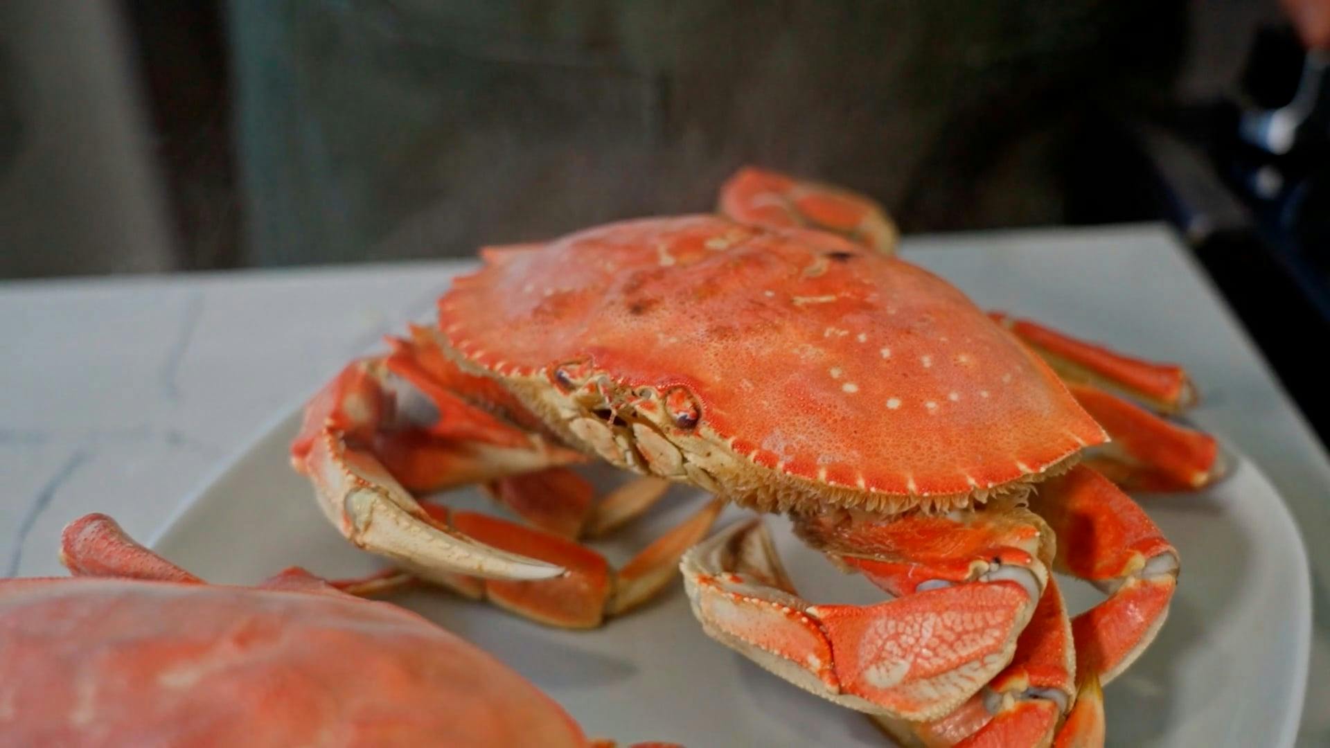 A Close-Up Video of a Boiling Food Free Stock Video Footage, Royalty ...