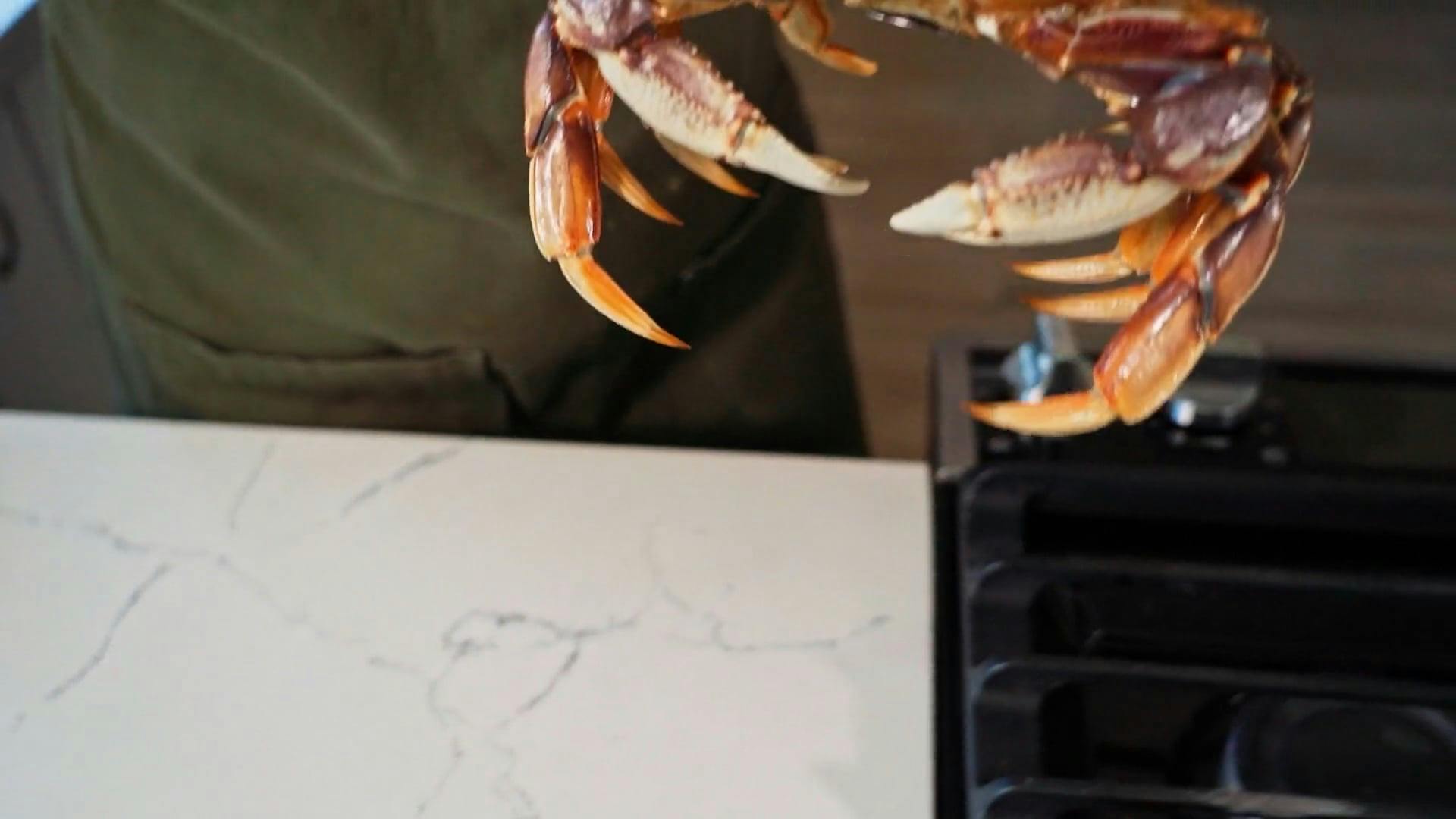 Vídeos de stock gratuitos sobre abundante marisco, agua hirviendo, al ...