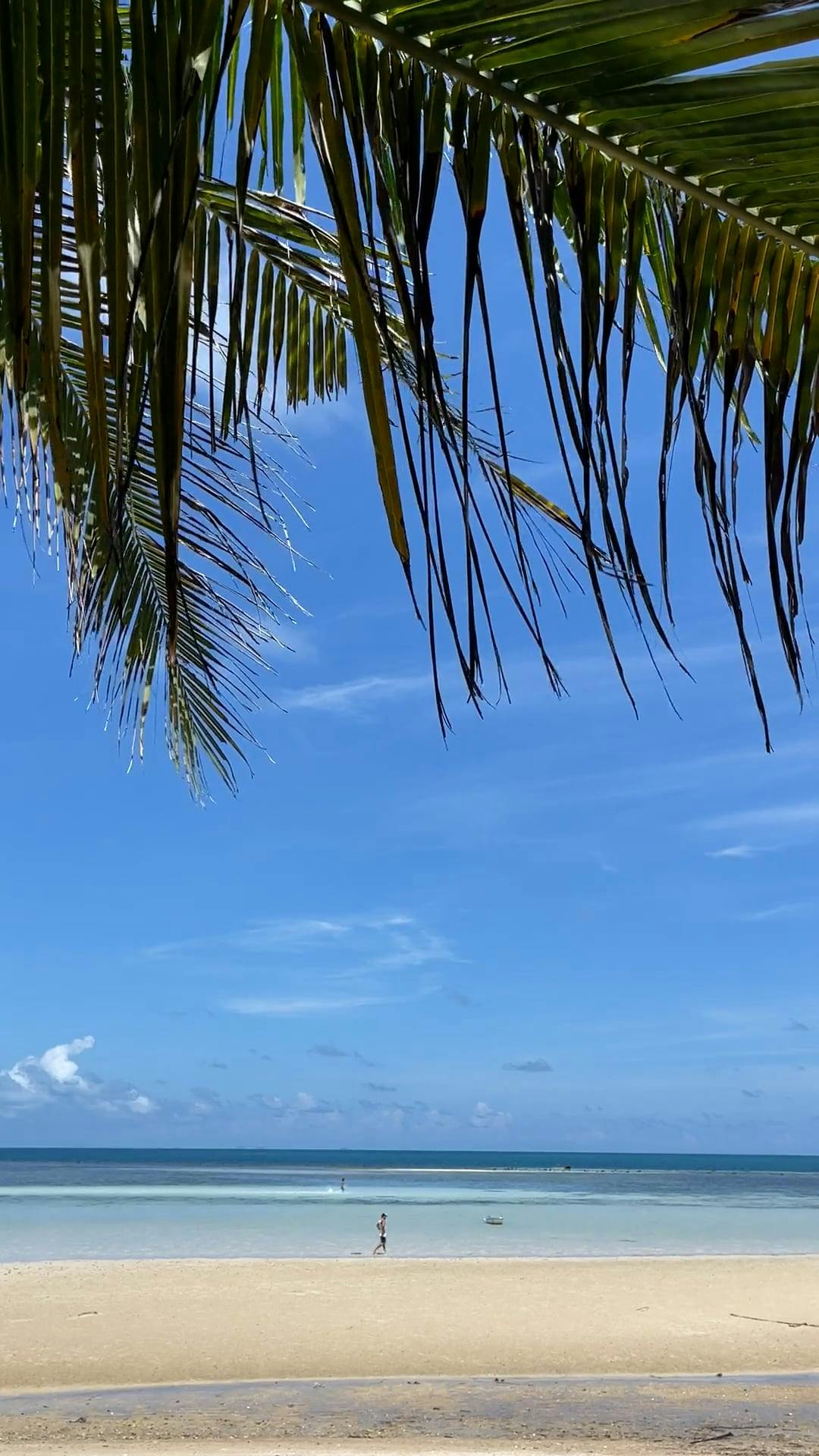 A Video Footage of Beautiful Beach Free Stock Video Footage, Royalty ...