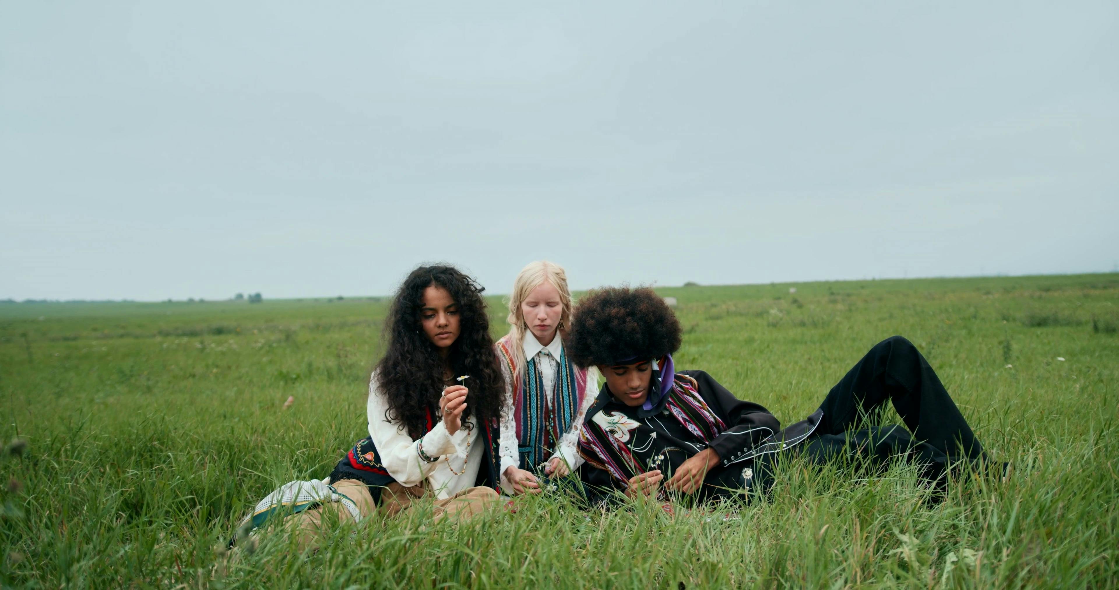 A Group of Friends Sitting in the Field Free Stock Video Footage ...