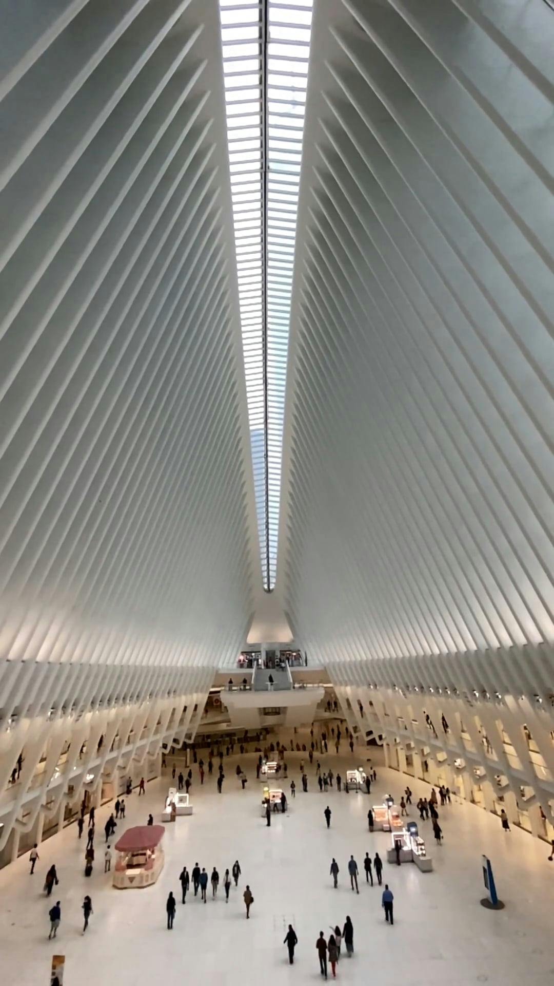Bustling Oculus Transit Hub in New York City Free Stock Video Footage ...