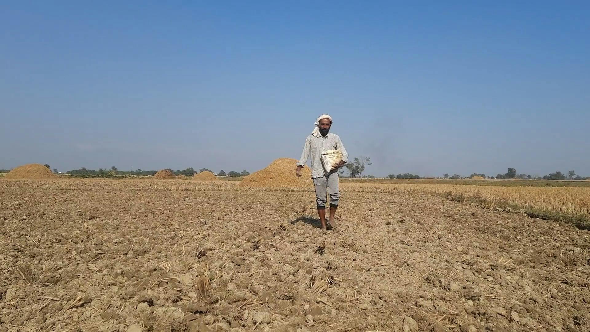 Farmer Spreading Seeds in Field Free Stock Video Footage, Royalty-Free ...