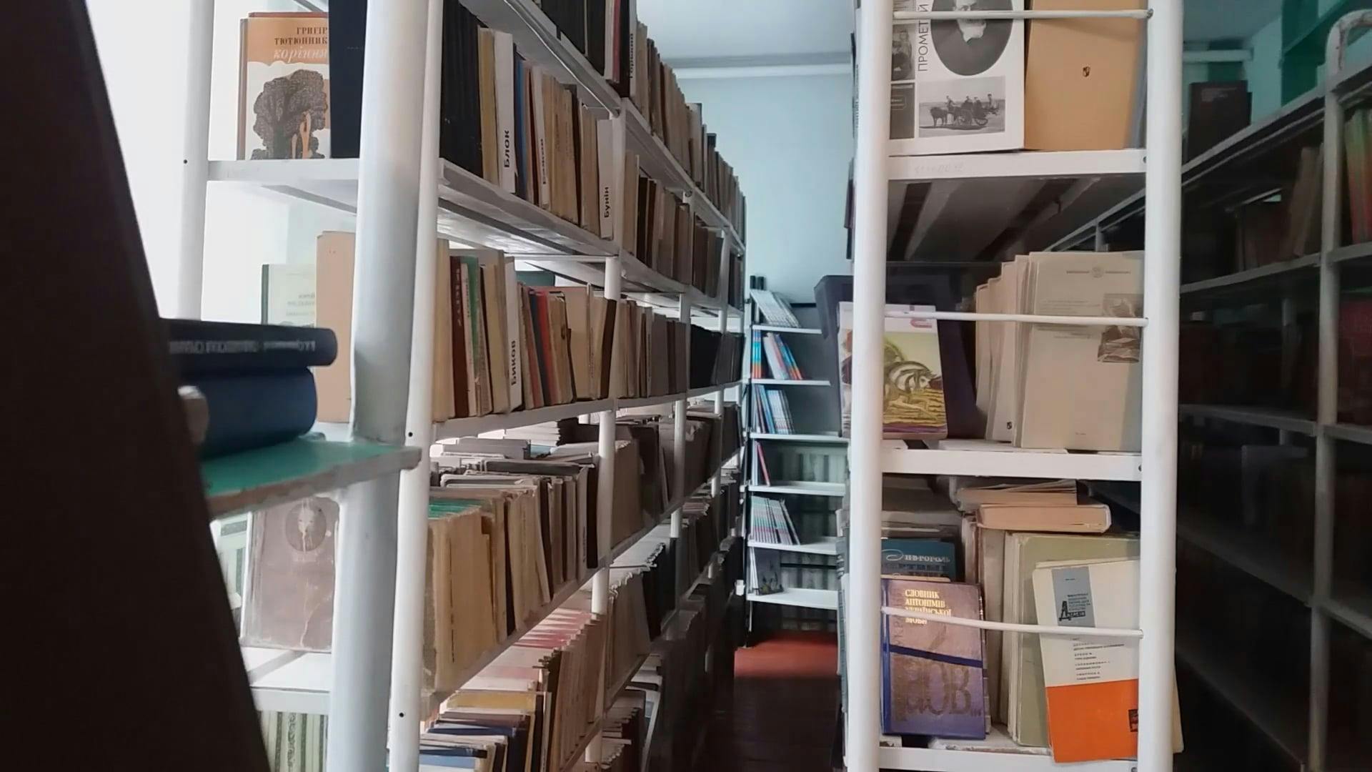 Librarian Carrying Books in Library Free Stock Video Footage, Royalty ...