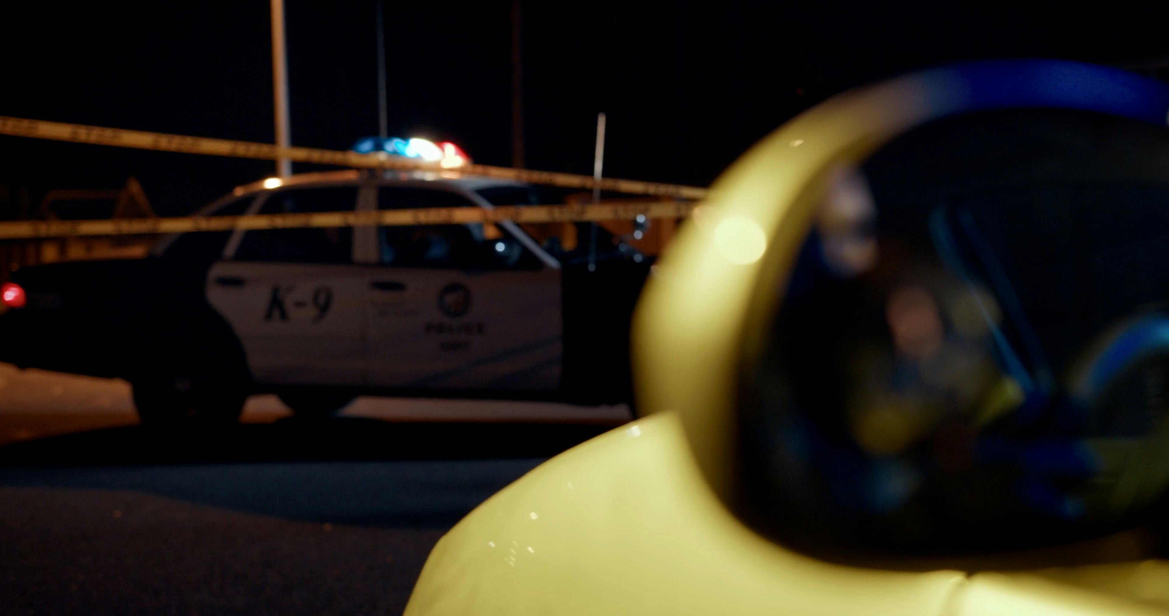 Police Officer Talking with Stringer at Crime Scene · Free Stock Video