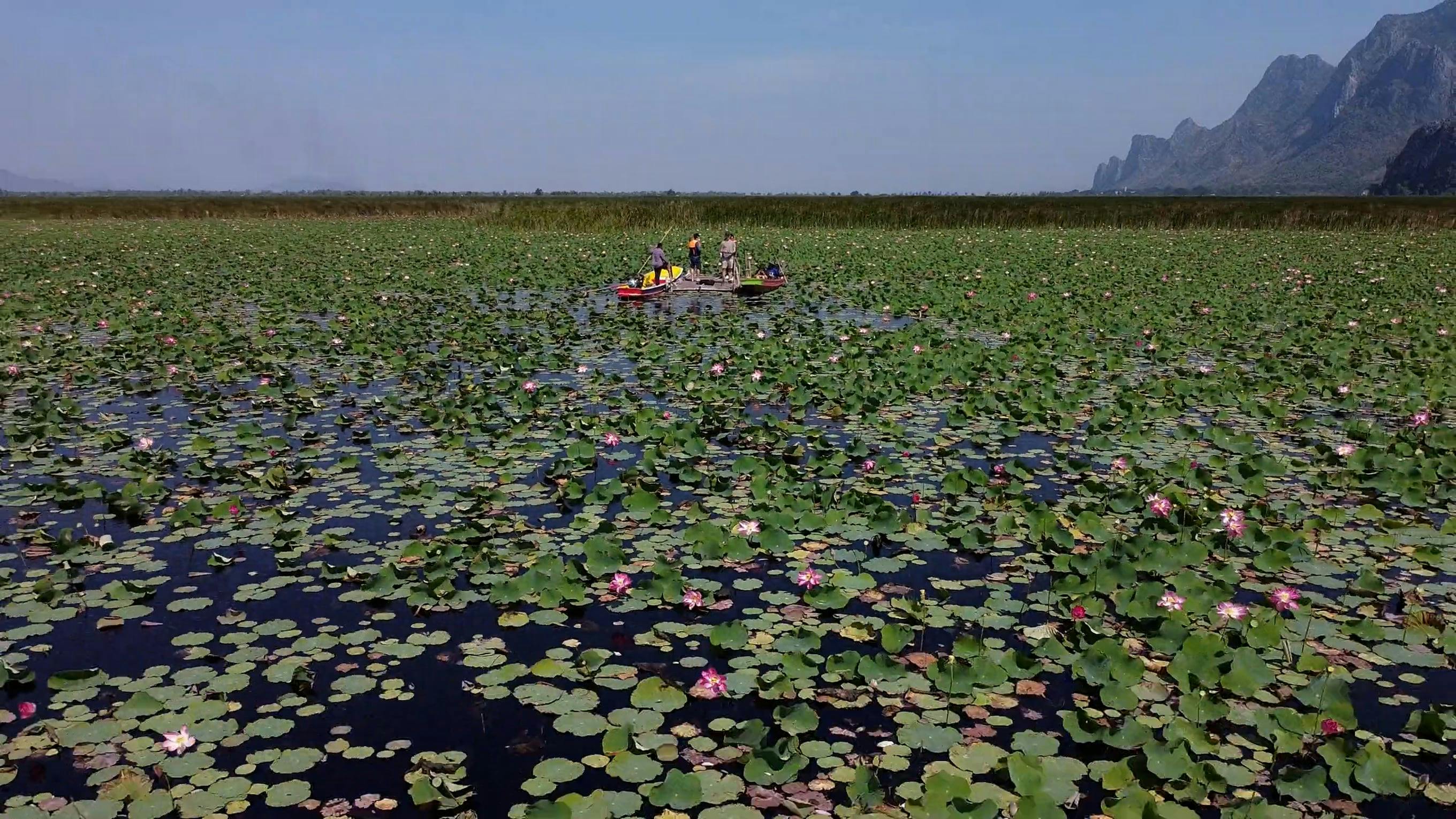 Drone Footage of Nong Han Lake Free Stock Video Footage, Royalty-Free ...
