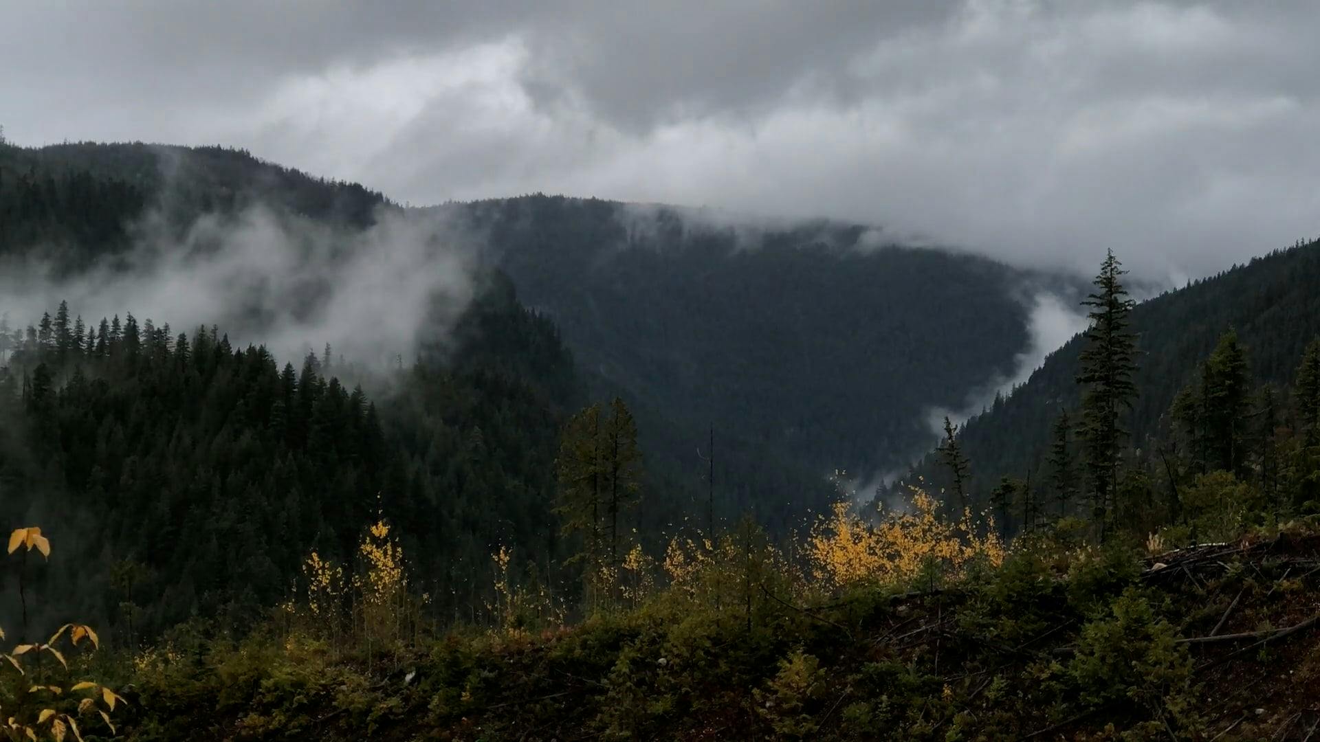 Fog and Moving Clouds in a Mountain Landscape Free Stock Video Footage ...