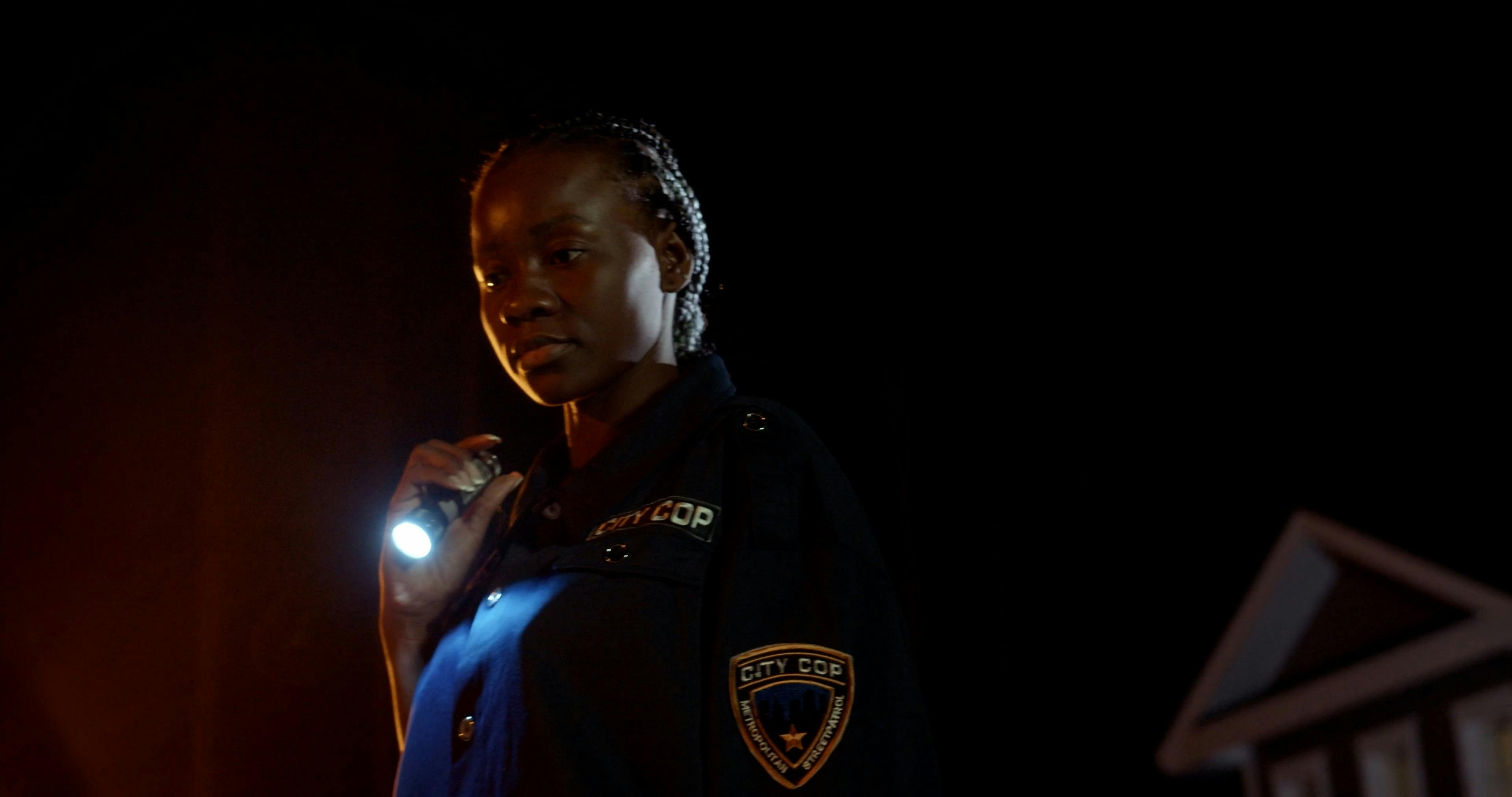Police Officer with Flashlight at Night Free Stock Video Footage ...