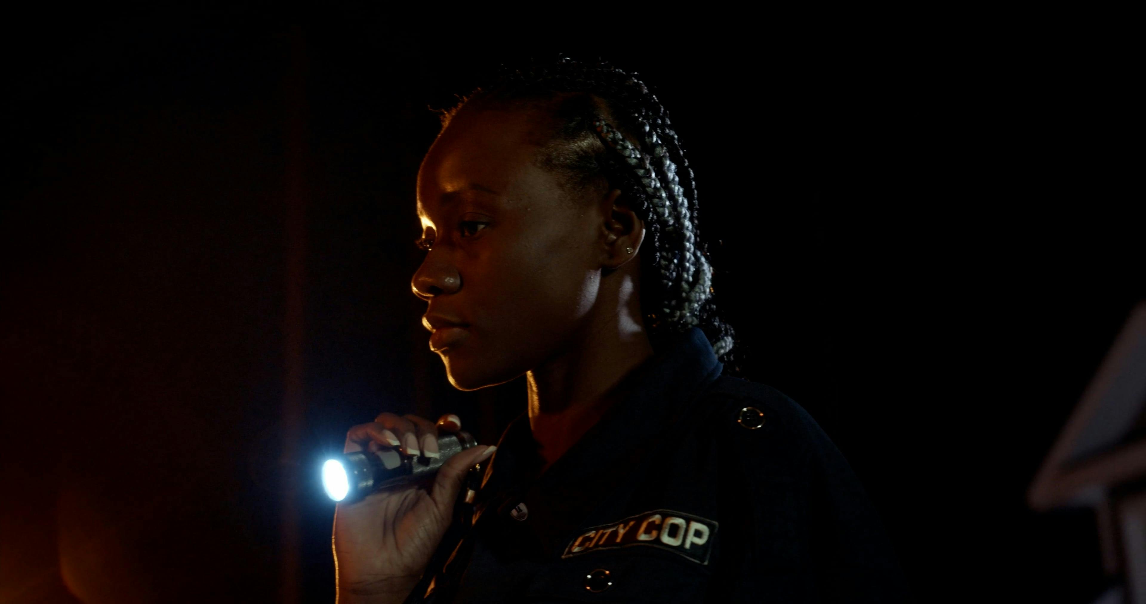 Police Officer with Flashlight at Night Free Stock Video Footage ...