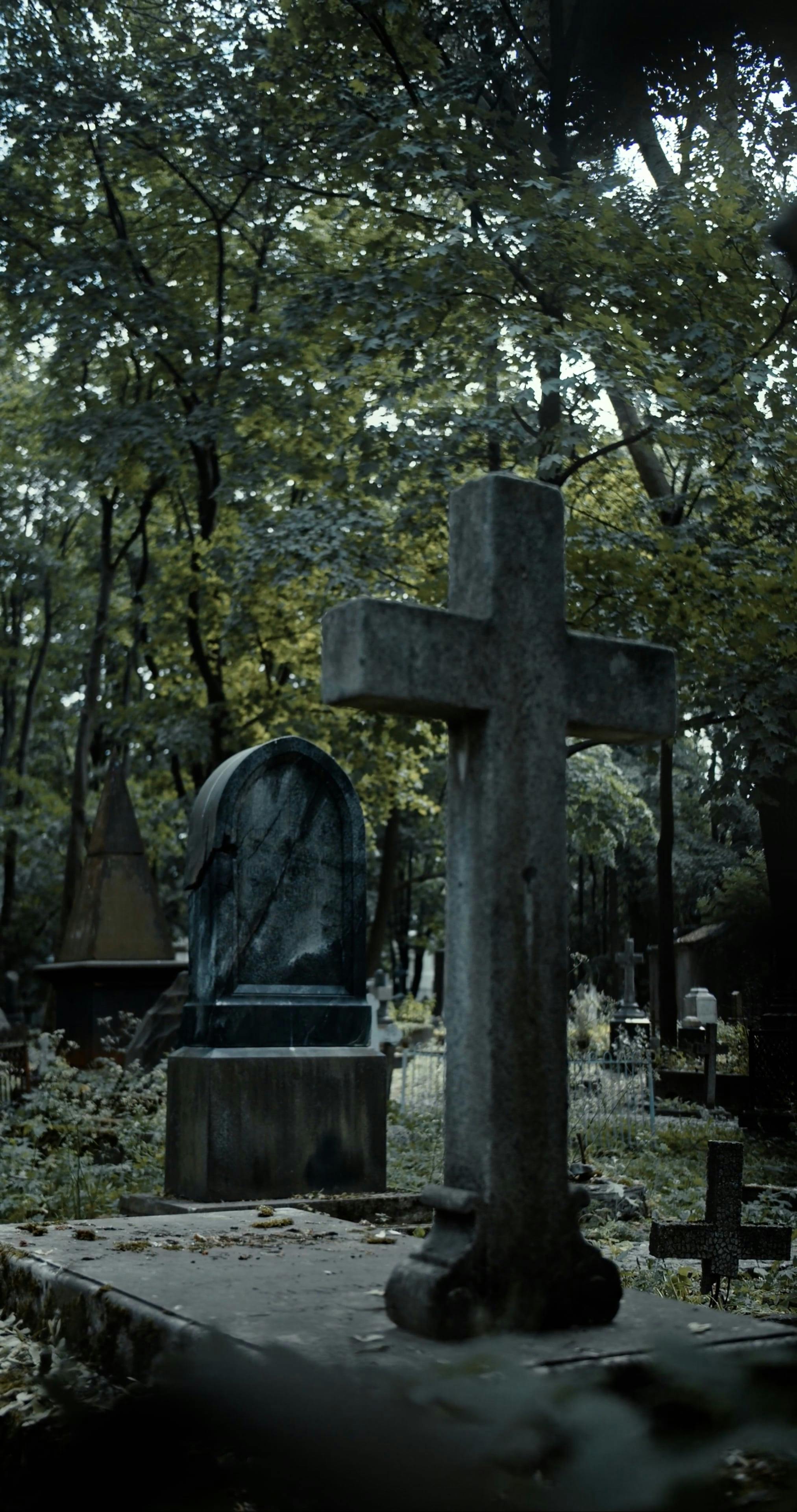 Sad Man at Graveyard · Free Stock Video