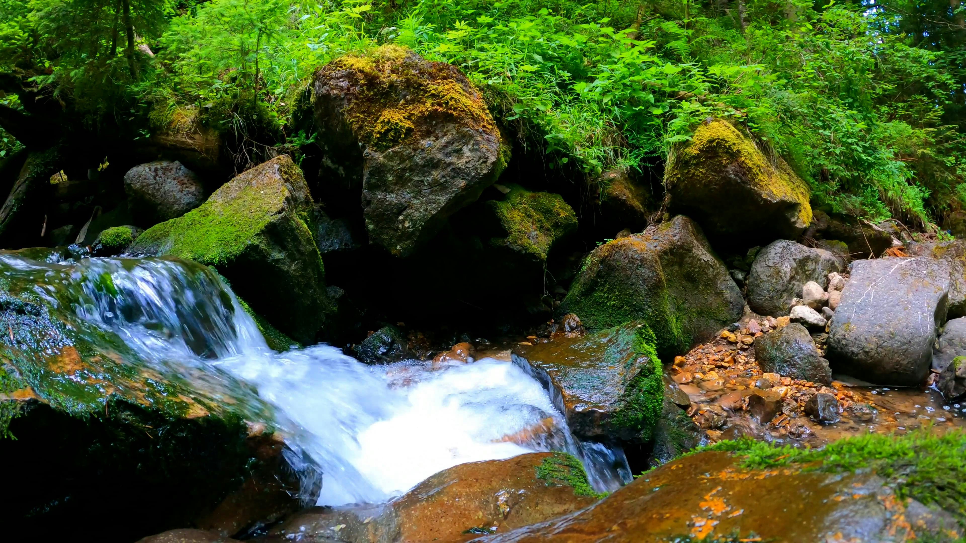 Github+Faitop Videos, Download The BEST Free 4k Stock Video Footage ...