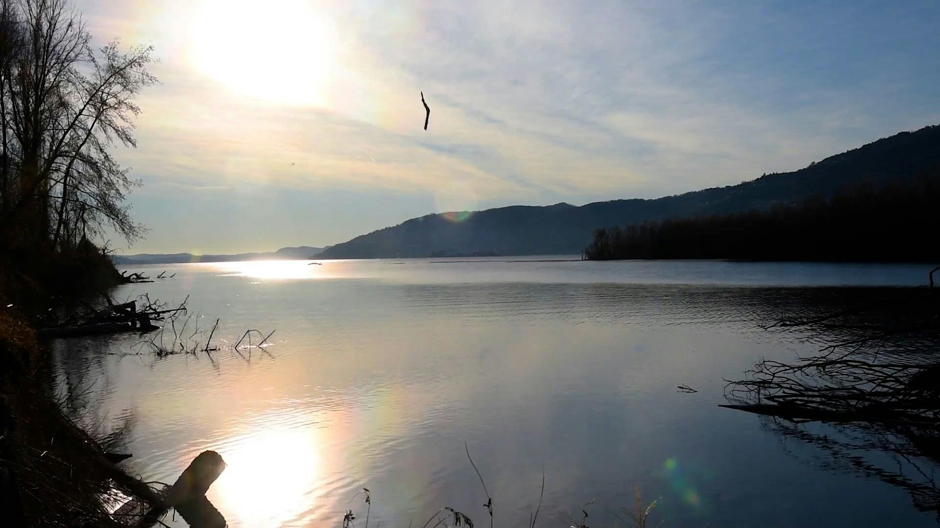 Branch Falling Down to Lake Free Stock Video Footage, Royalty-Free 4K ...