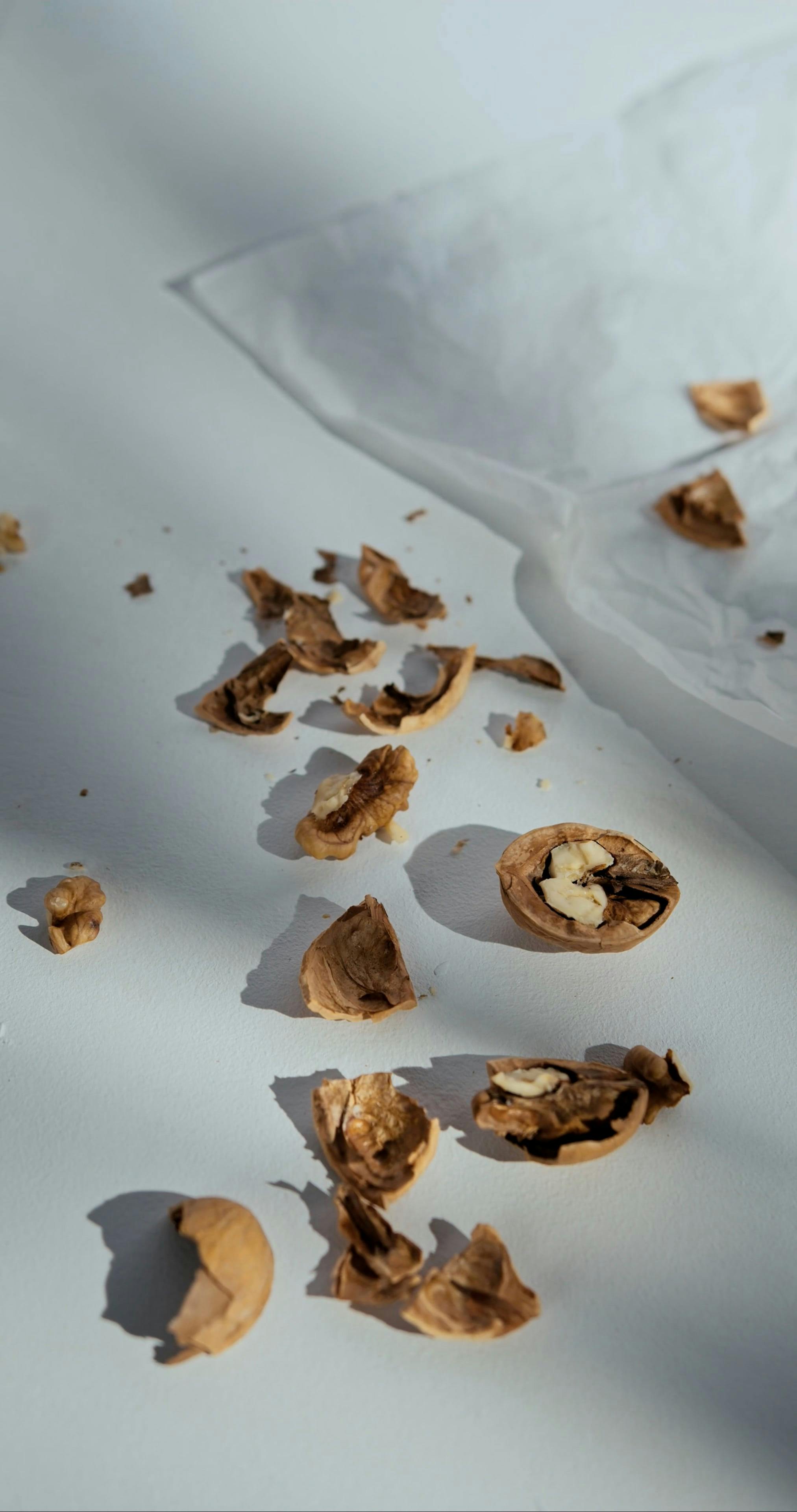 Broken Shells Videos, Download The BEST Free 4k Stock Video Footage & Broken Shells HD Video Clips