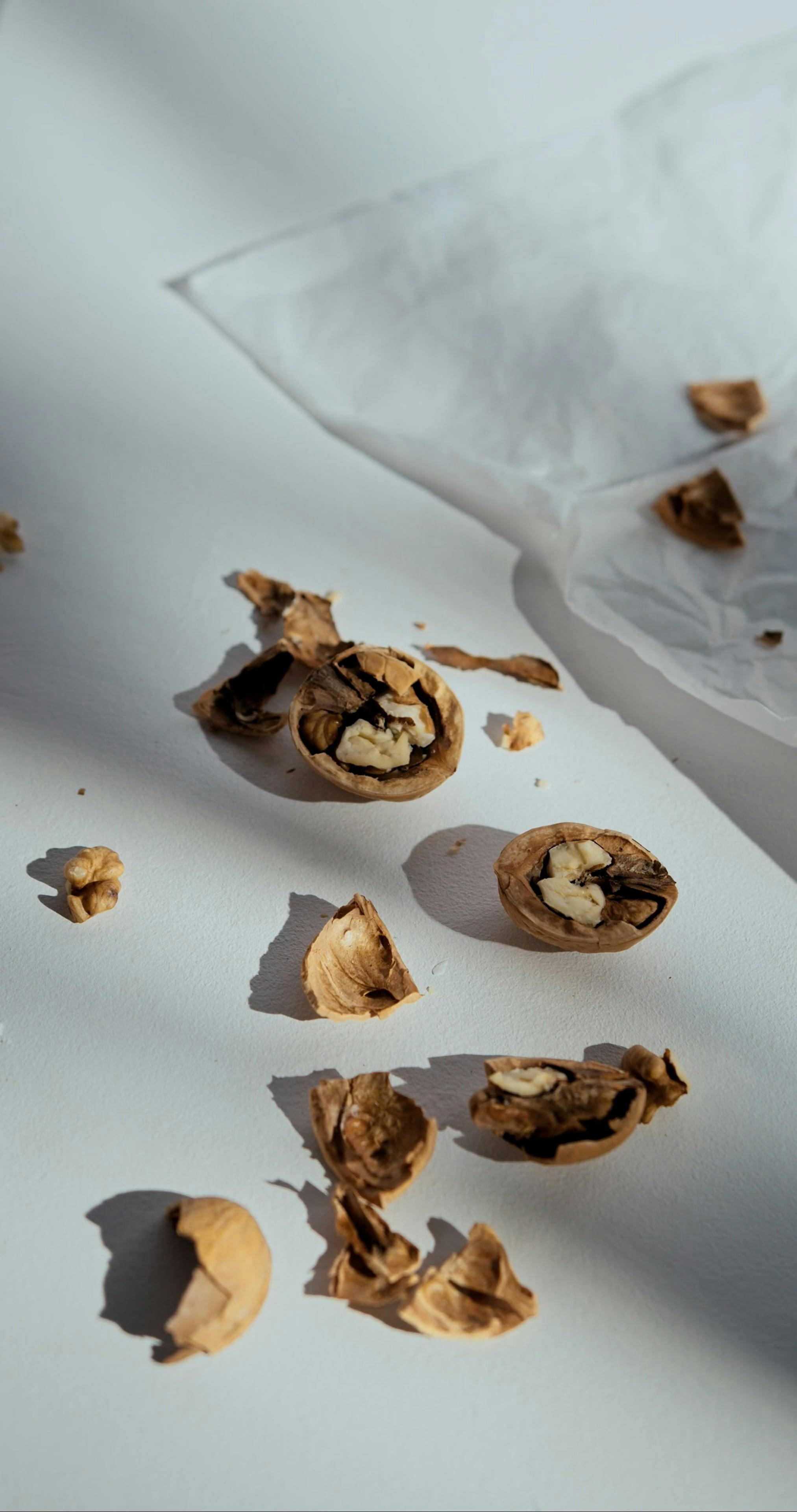 A Person Holding a Cracked Nutshell Free Stock Video Footage, Royalty ...