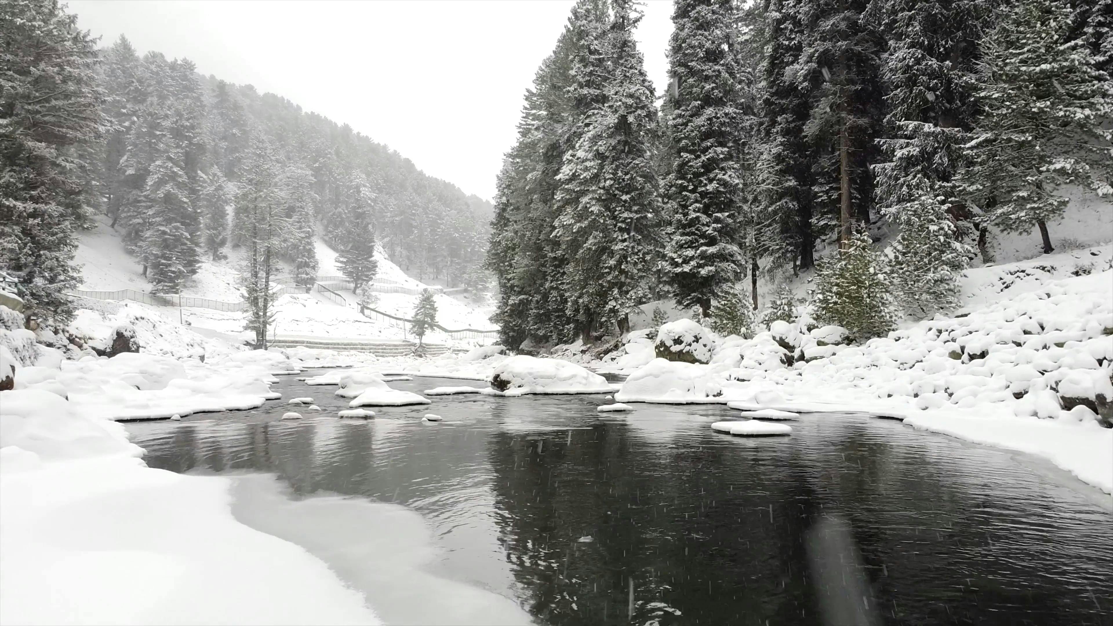 Snow Slowly Falling Down · Free Stock Video