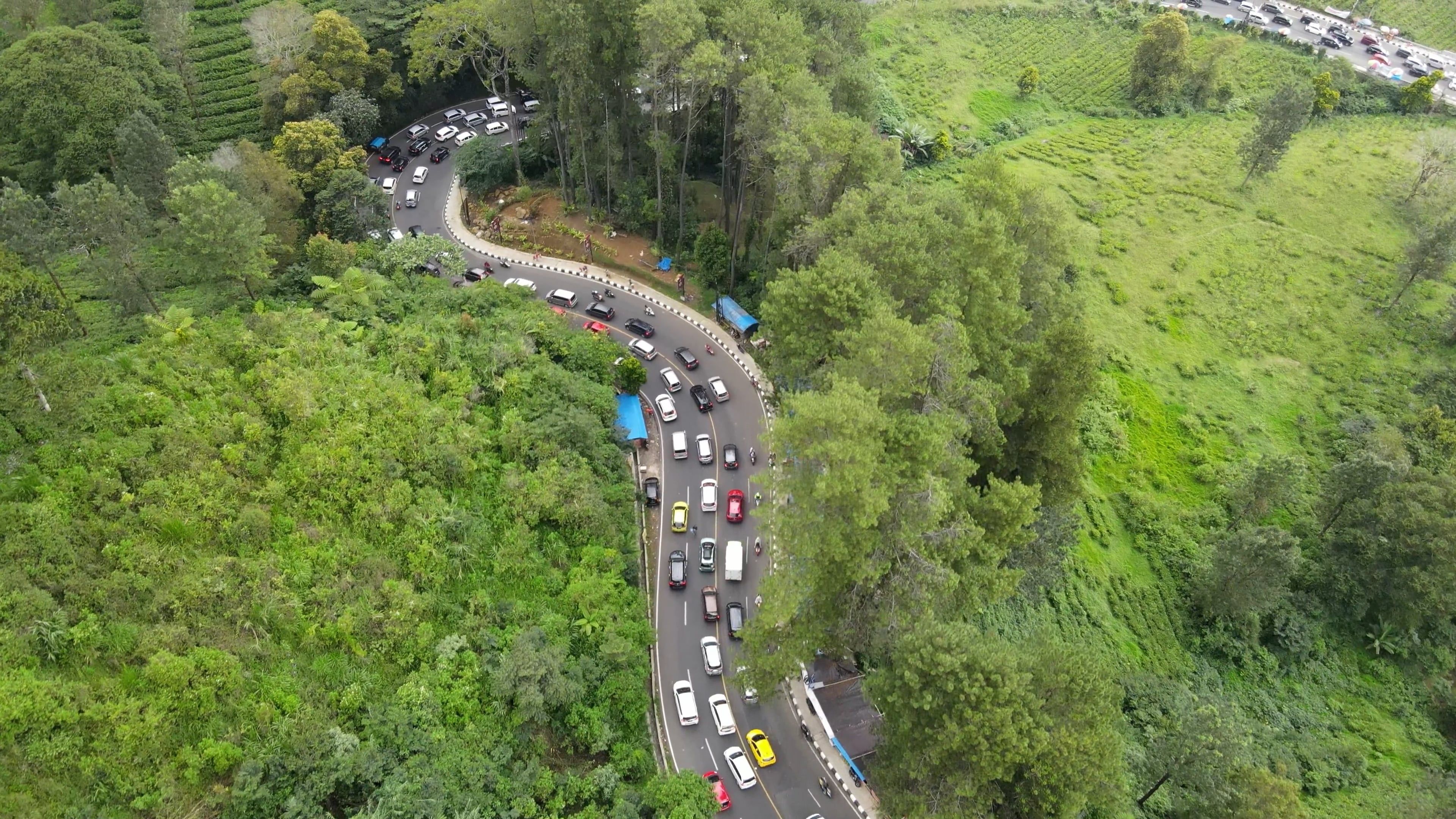 Traffic Jam on Road in Forest Free Stock Video Footage, Royalty-Free 4K ...