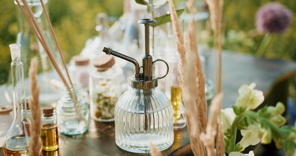 Flower Arrangement Videos, Download The BEST Free 4k Stock Video ...