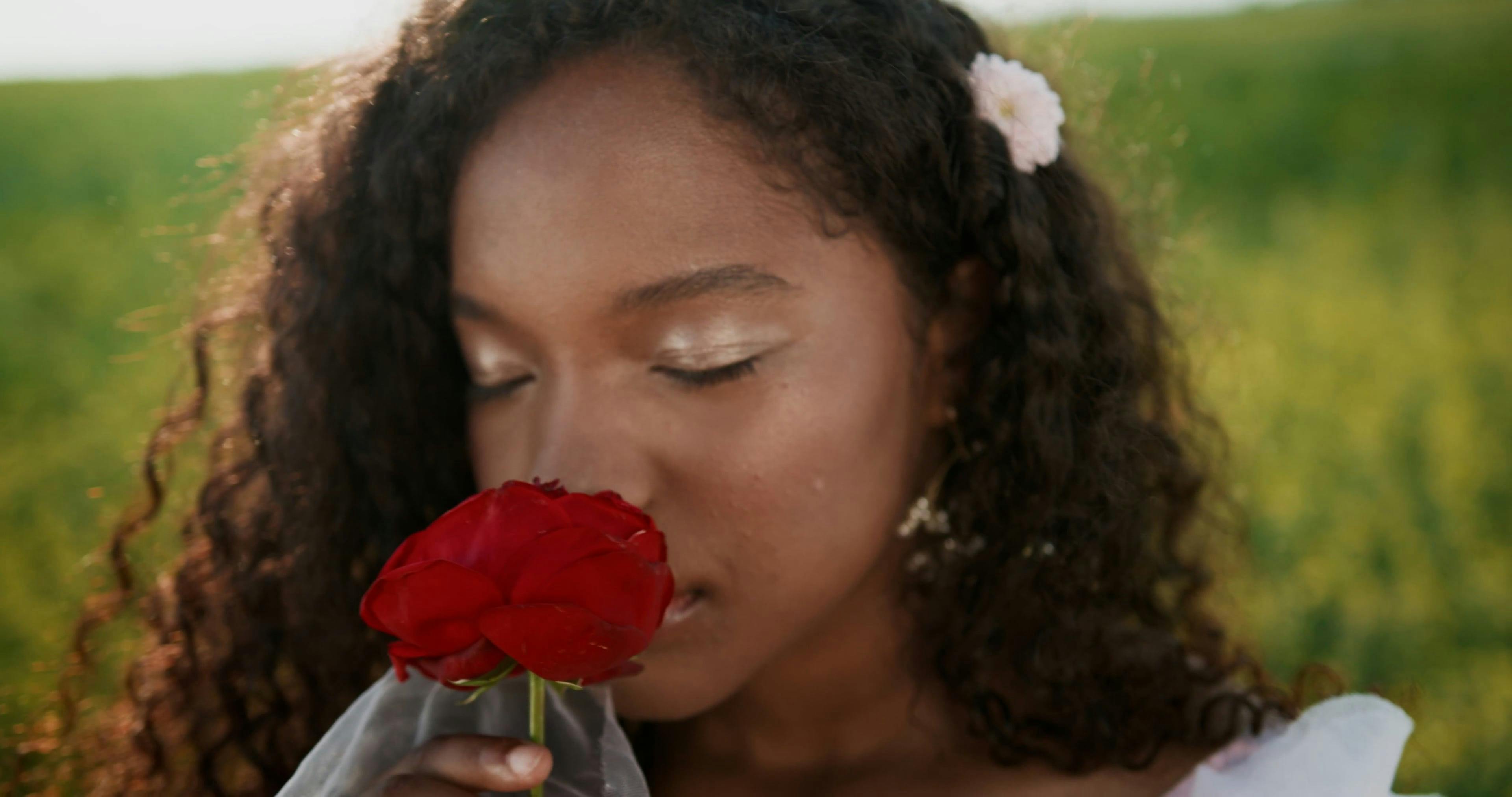 Picking A Rose Videos, Download The BEST Free 4k Stock Video Footage ...