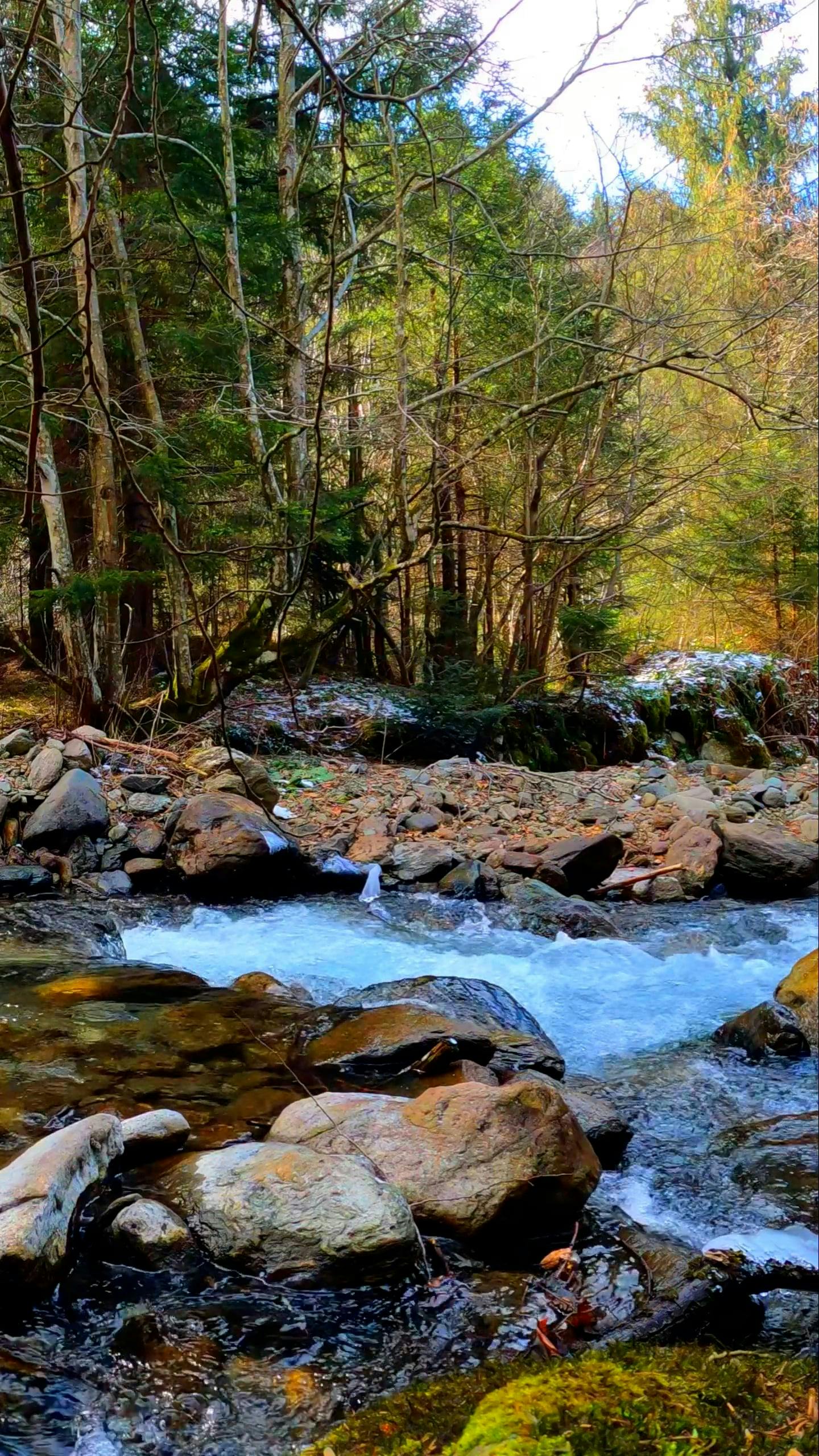 Flowing Water in Stream Free Stock Video Footage, Royalty-Free 4K & HD ...