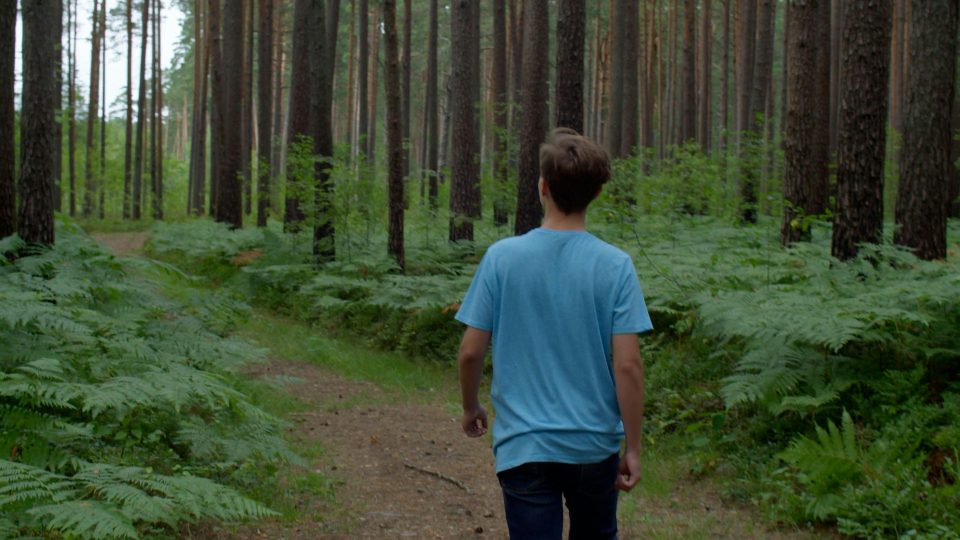 A Man Walking Alone in the Woods Free Stock Video Footage, Royalty-Free ...