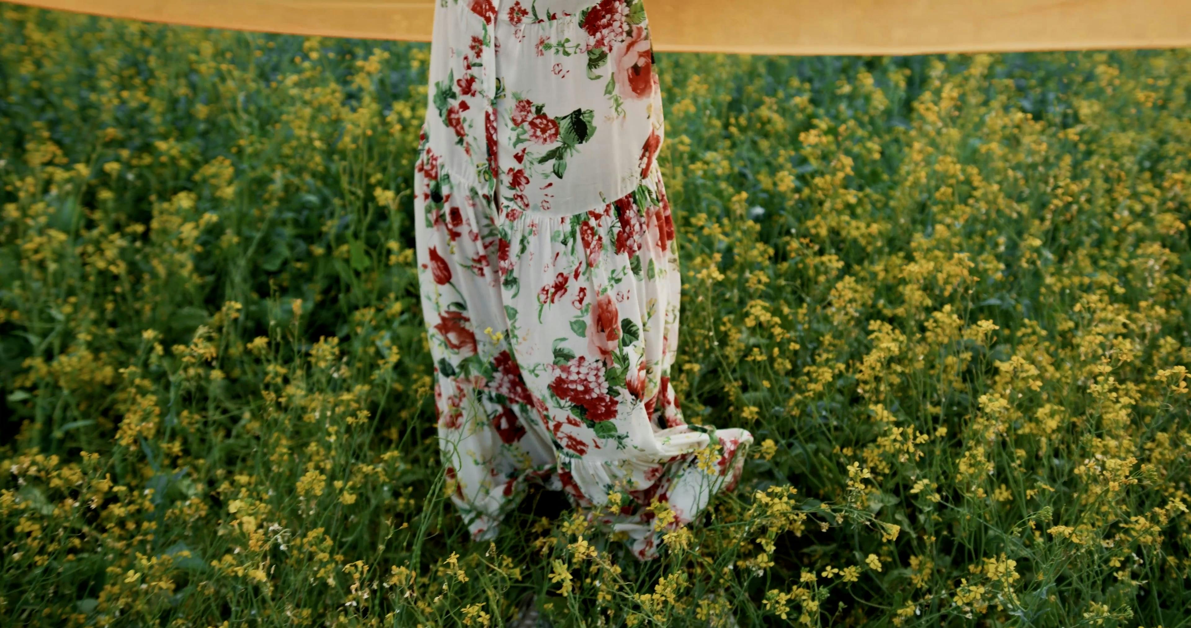 Sunrise Spring Videos, Download The BEST Free 4k Stock Video Footage ...