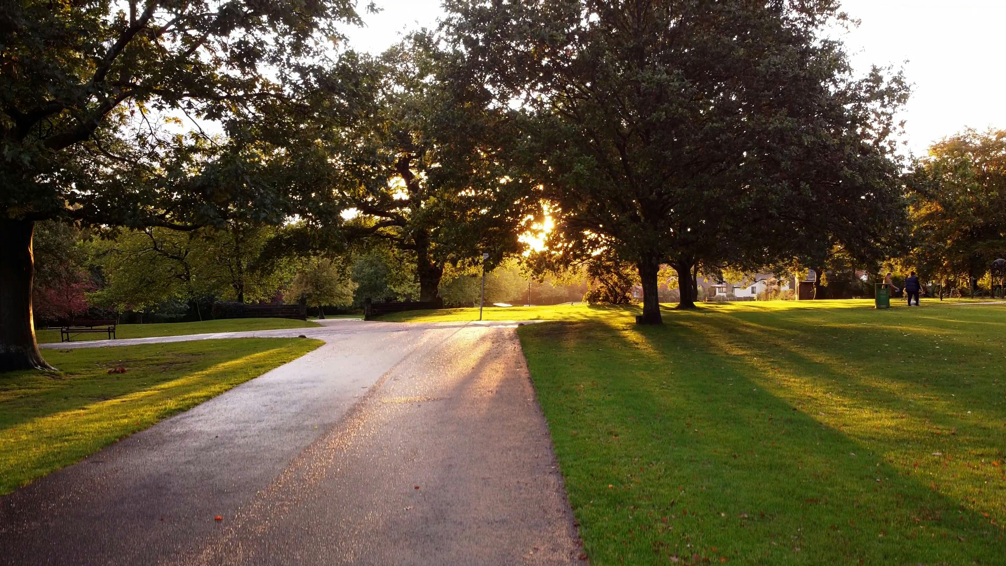 Sunset over Park Free Stock Video Footage, Royalty-Free 4K & HD Video Clip