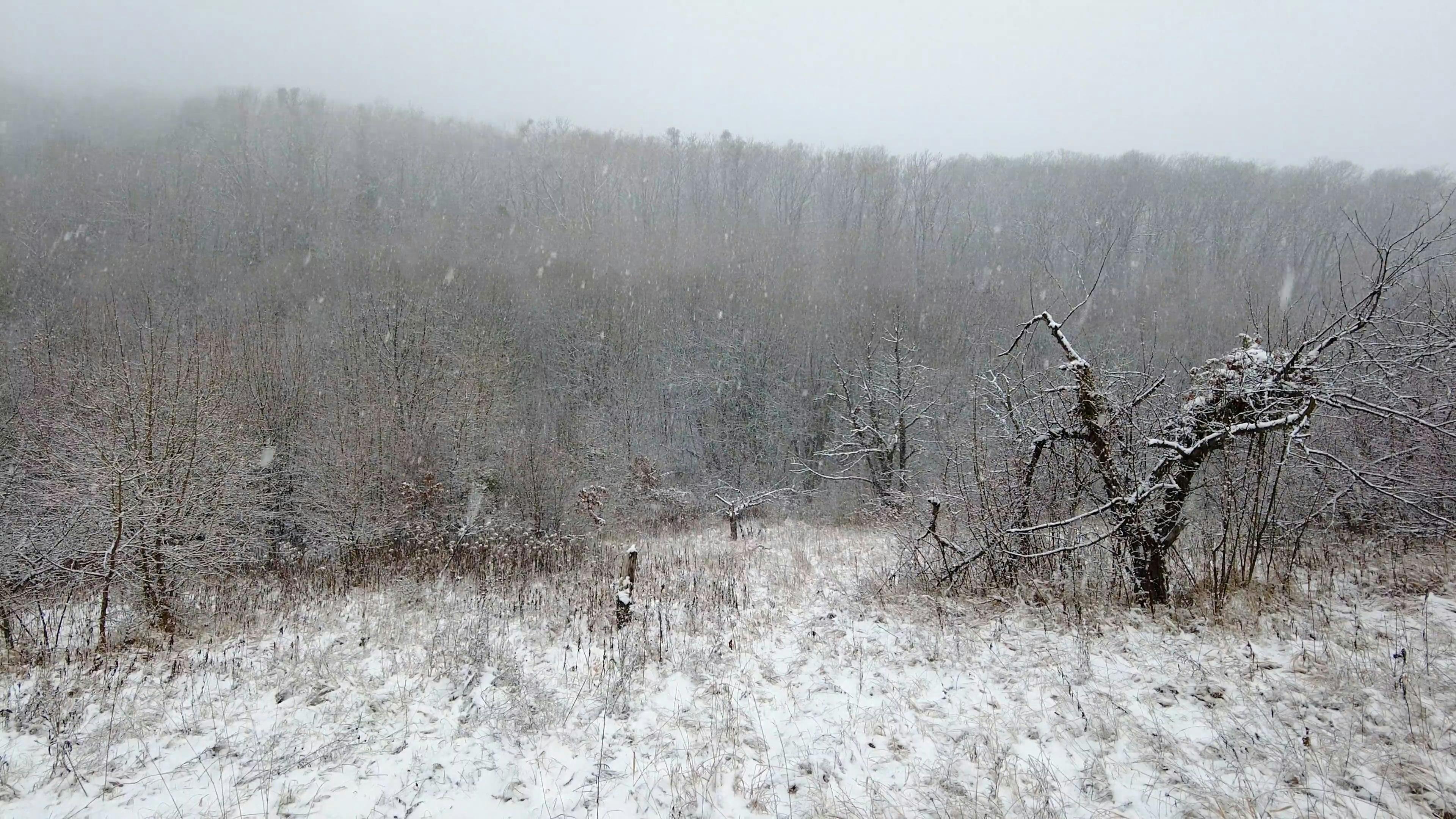 Packet Husk Videos, Download The BEST Free 4k Stock Video Footage ...