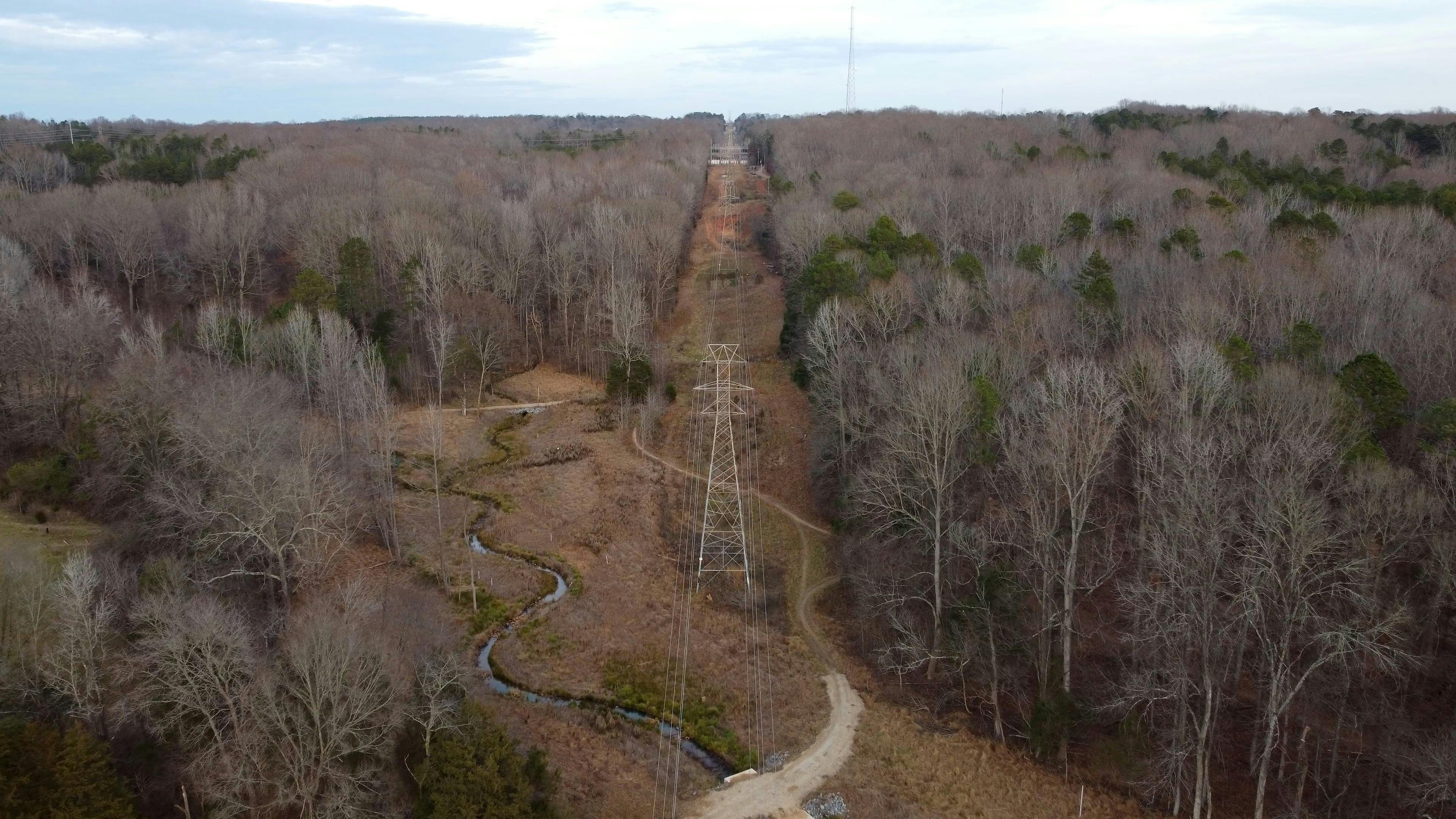 Aerial View of a Green Forest Free Stock Video Footage, Royalty-Free 4K ...