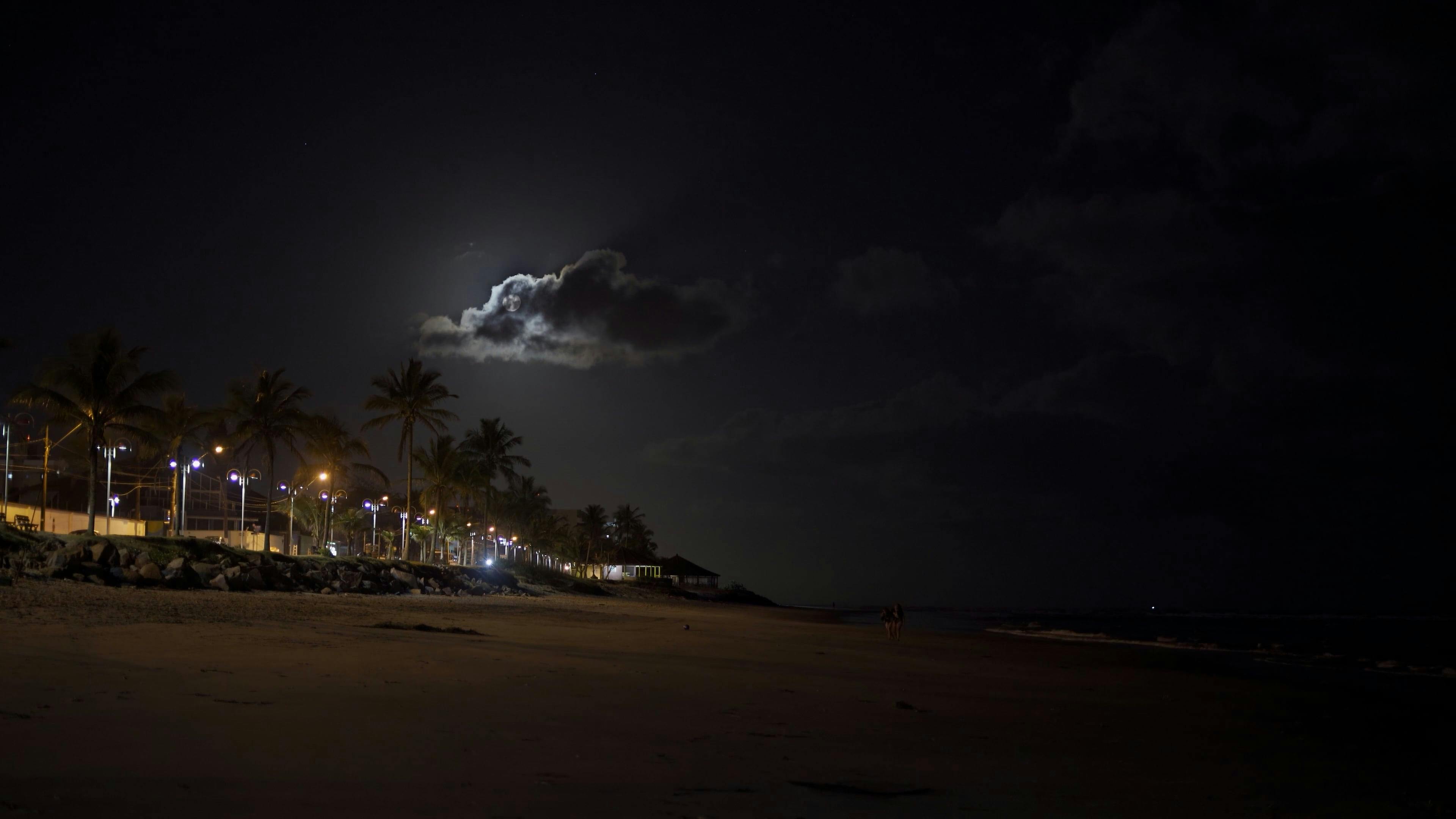 Sandy Beach in Full Moon Free Stock Video Footage, Royalty-Free 4K & HD ...