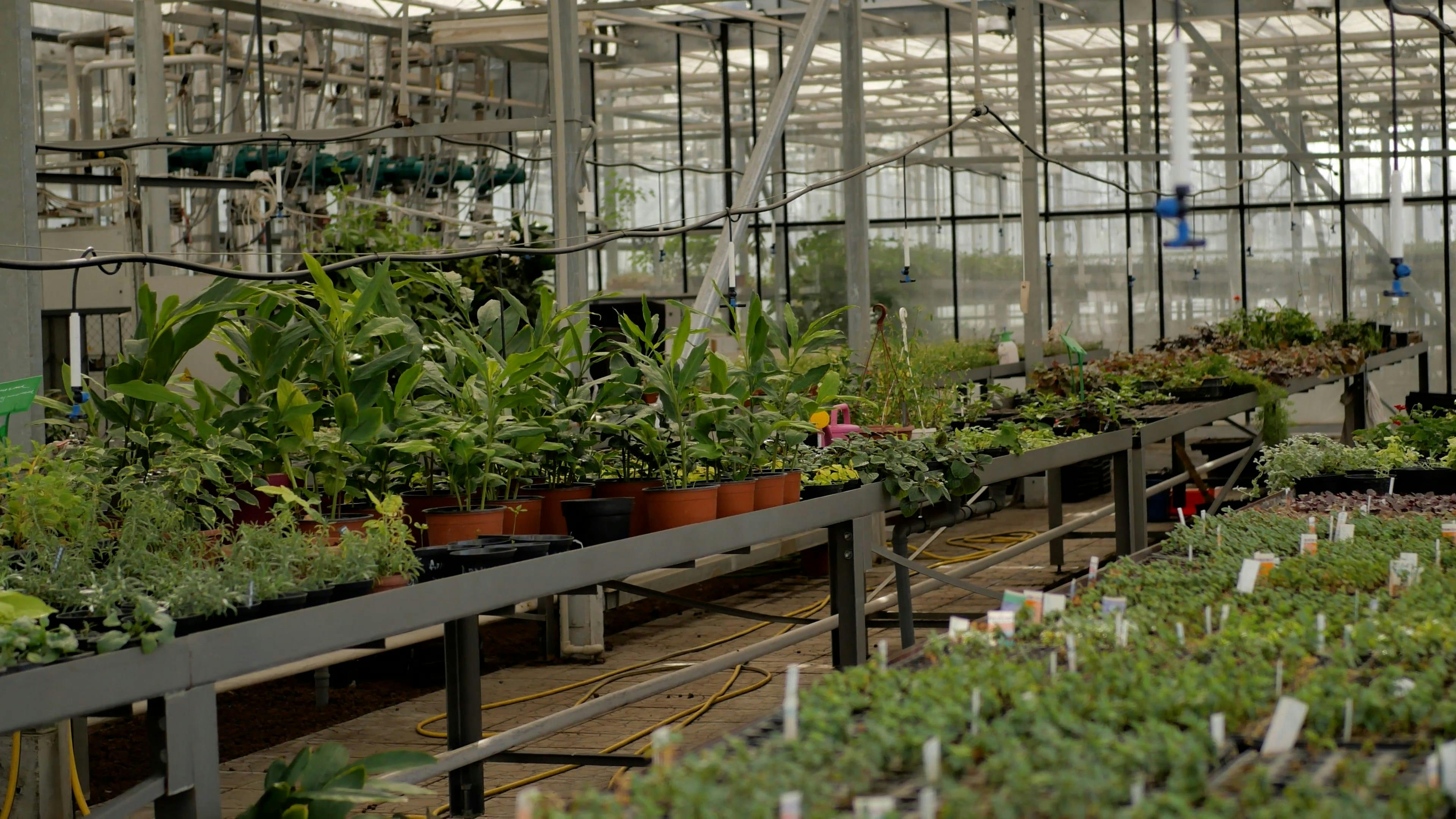 Gelo C3 A9trico Videos, Download The BEST Free 4k Stock Video Footage ...