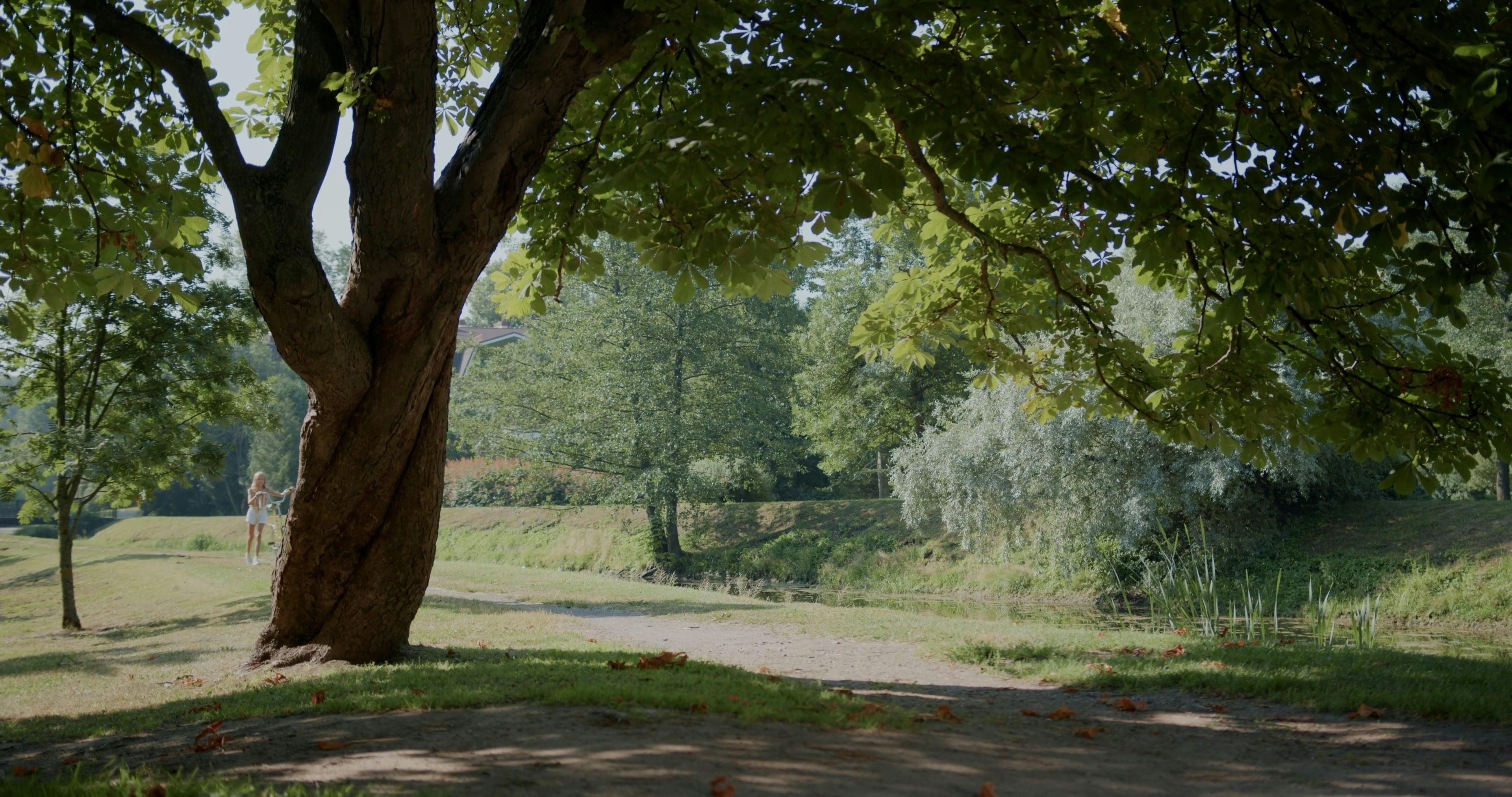 Interlude Nature Videos, Download The BEST Free 4k Stock Video Footage ...