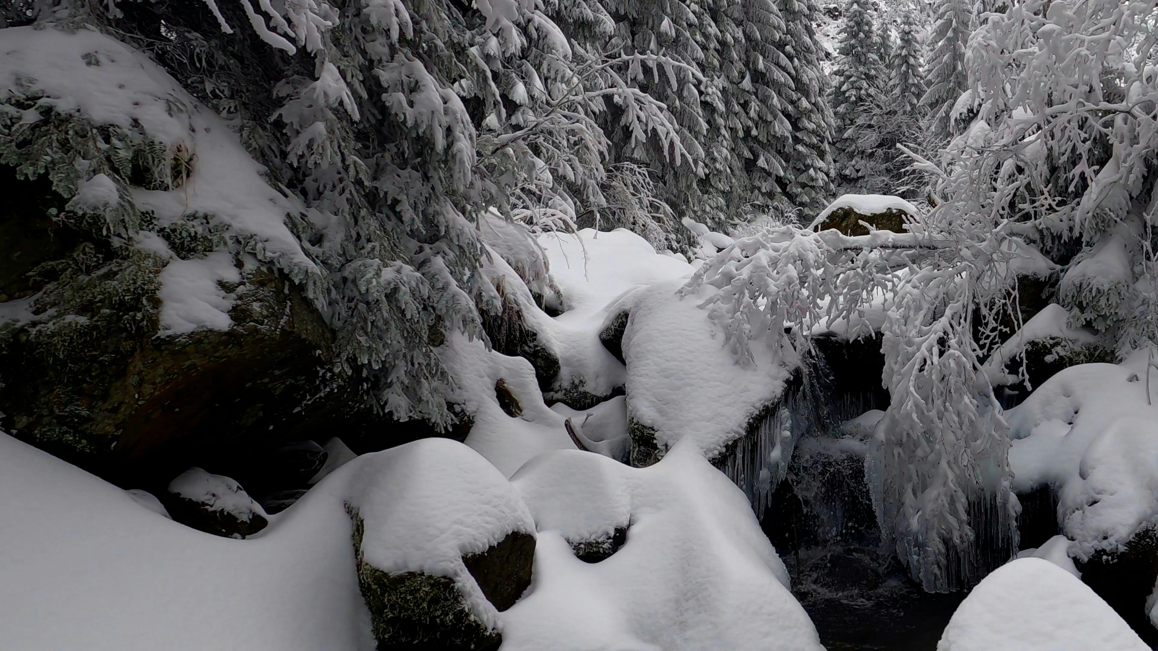 Beautiful Winter Scene with Crystal Clear Stream Free Stock Video ...