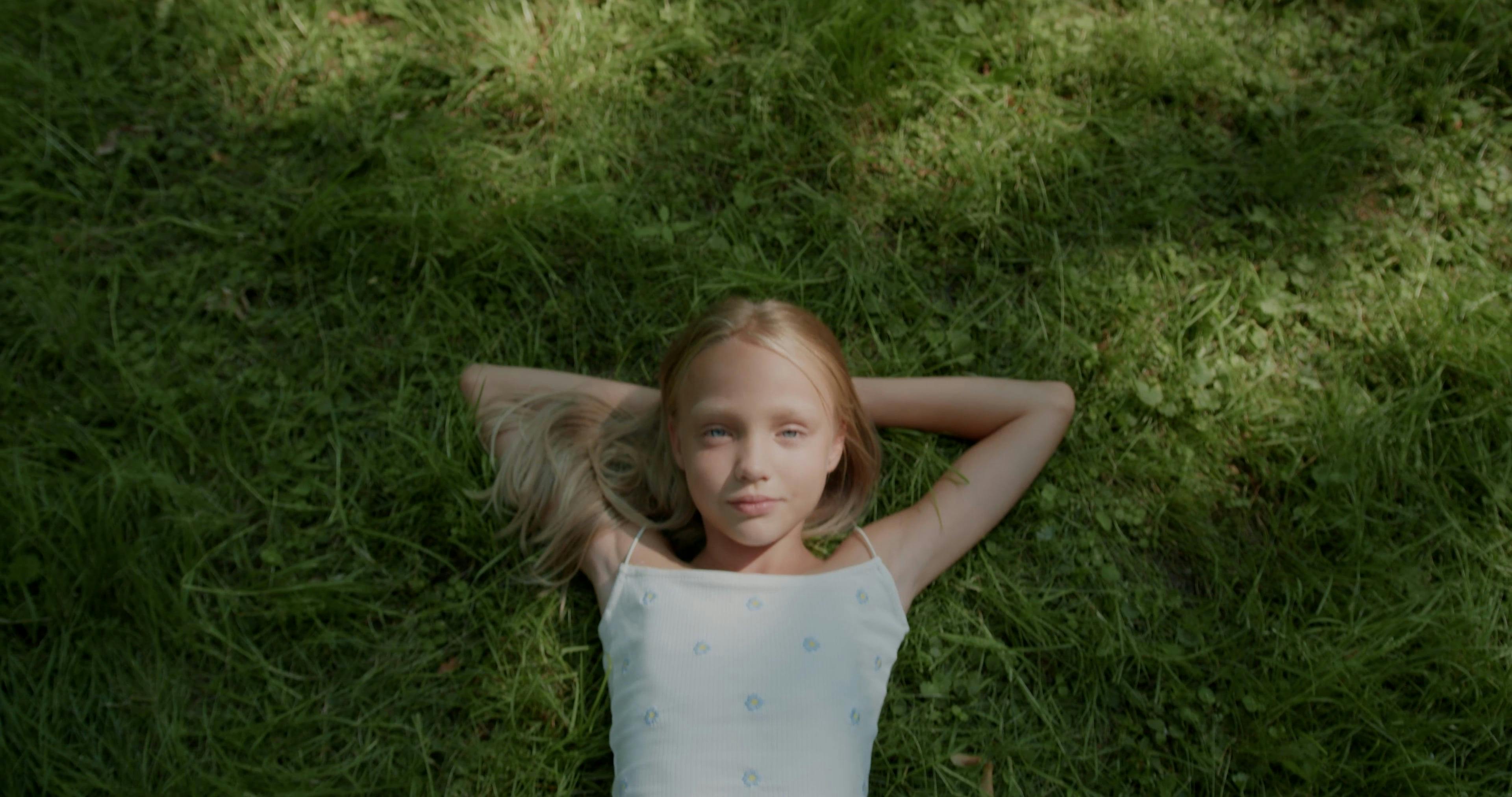 Tree Transformation Videos, Download The BEST Free 4k Stock Video ...