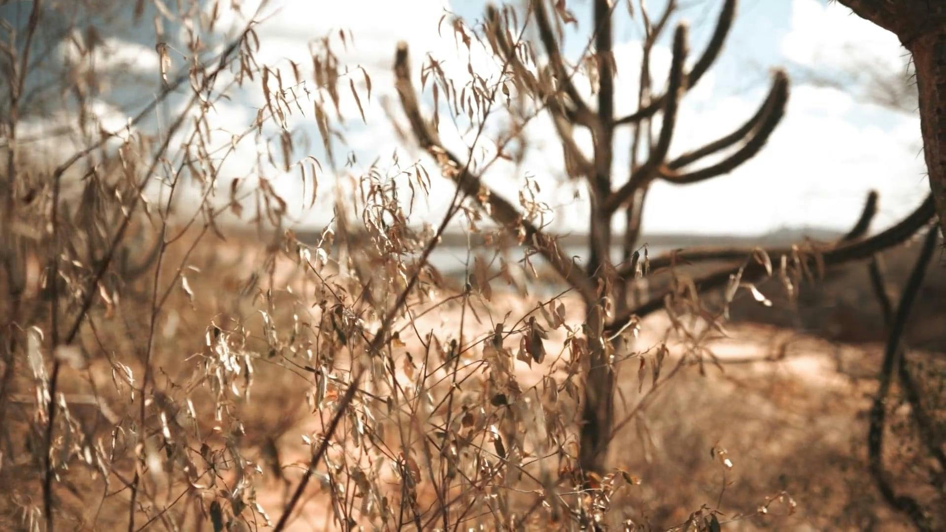 Vídeos de stock gratuitos sobre al aire libre, amanecer, arena, árido ...